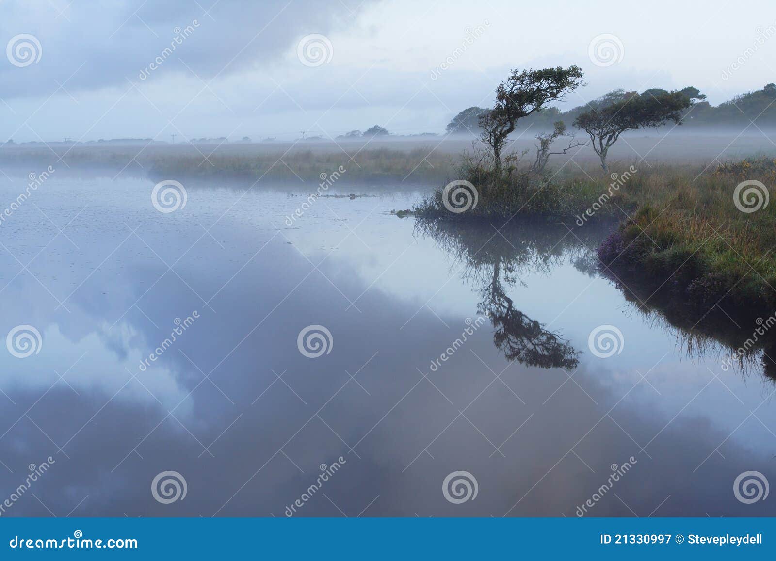 Broad Pool in the Mist stock image. Image of tree, wales - 21330997