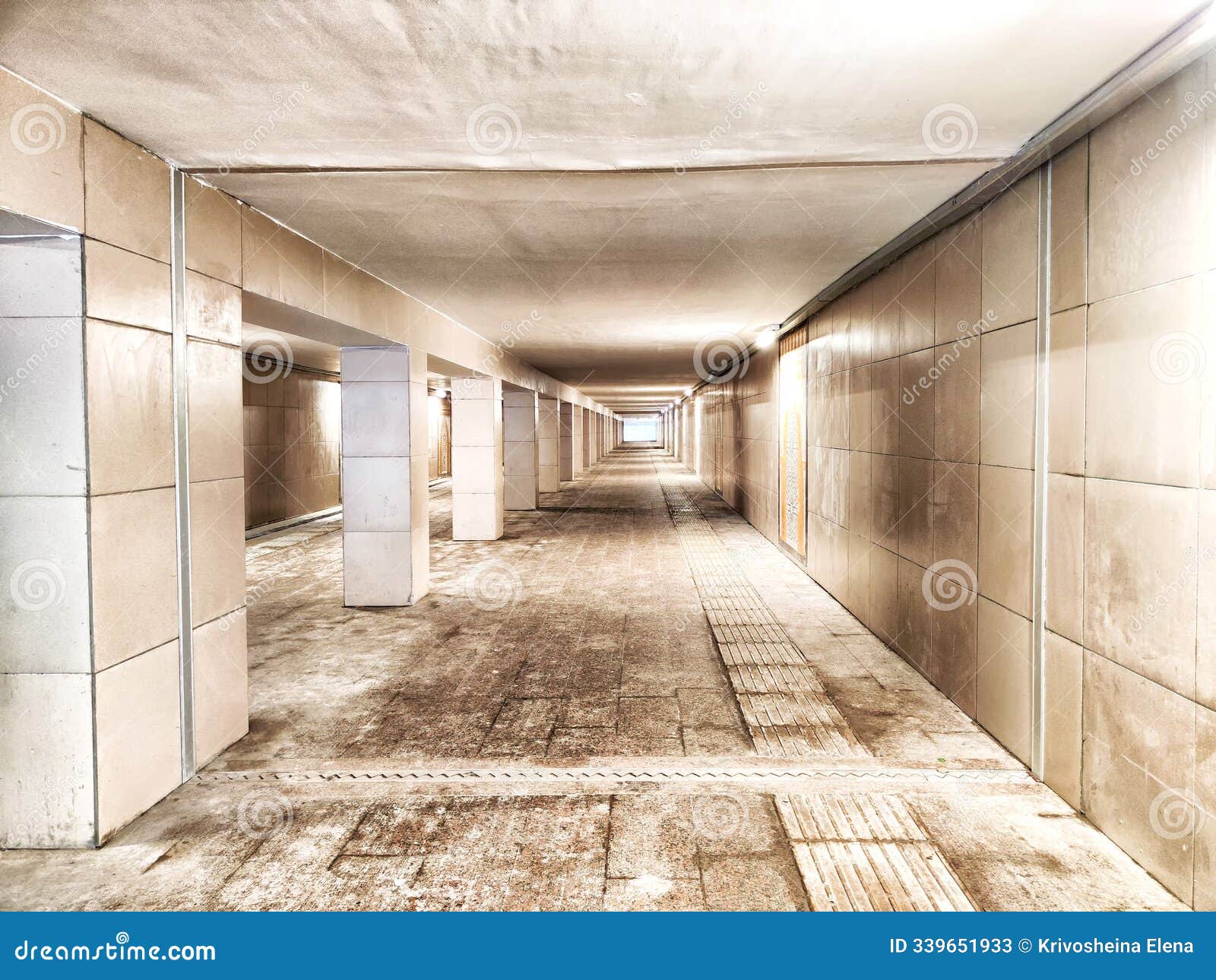 A Broad Underground Passageway Features Clean Tiles and Bright Lights ...