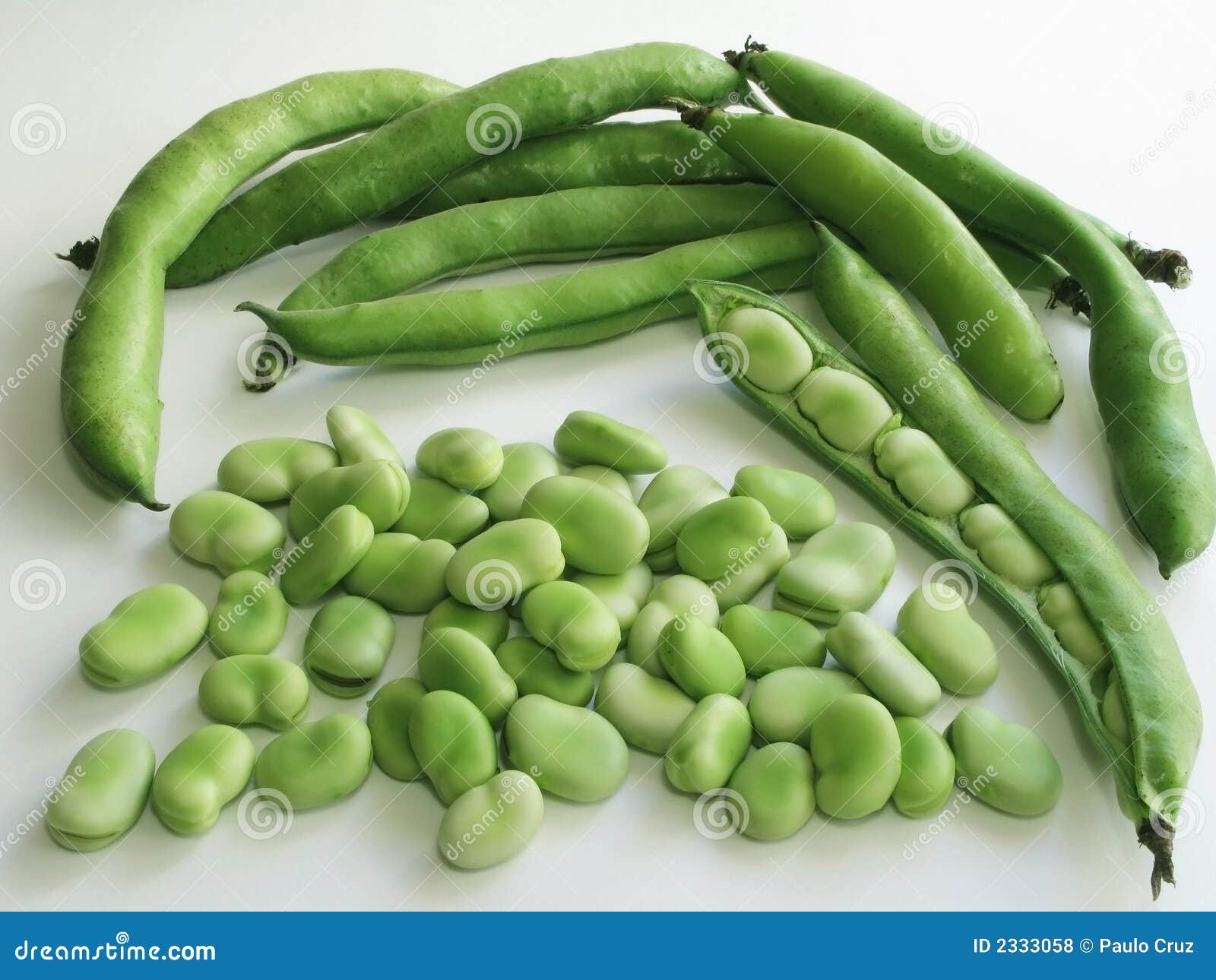 Broadbeans in Pods stock photo. Image of detail, abundance - 2333058