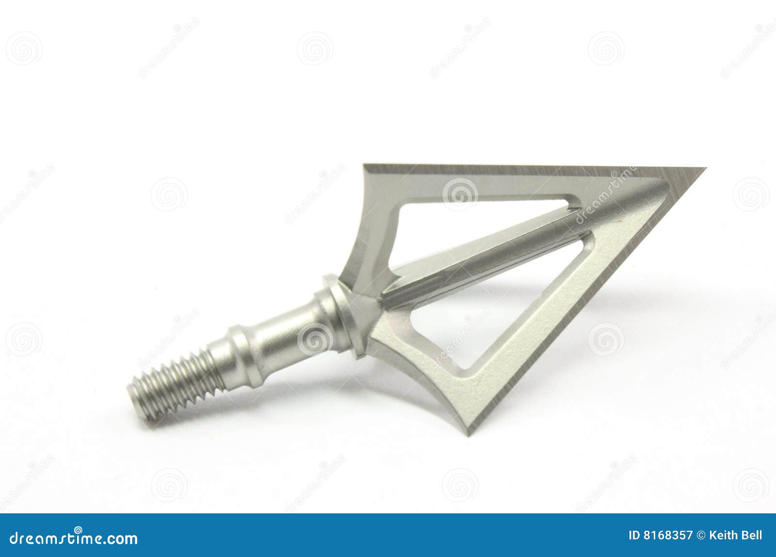 Broadhead angled. stock image. Image of white, hunting - 8168357