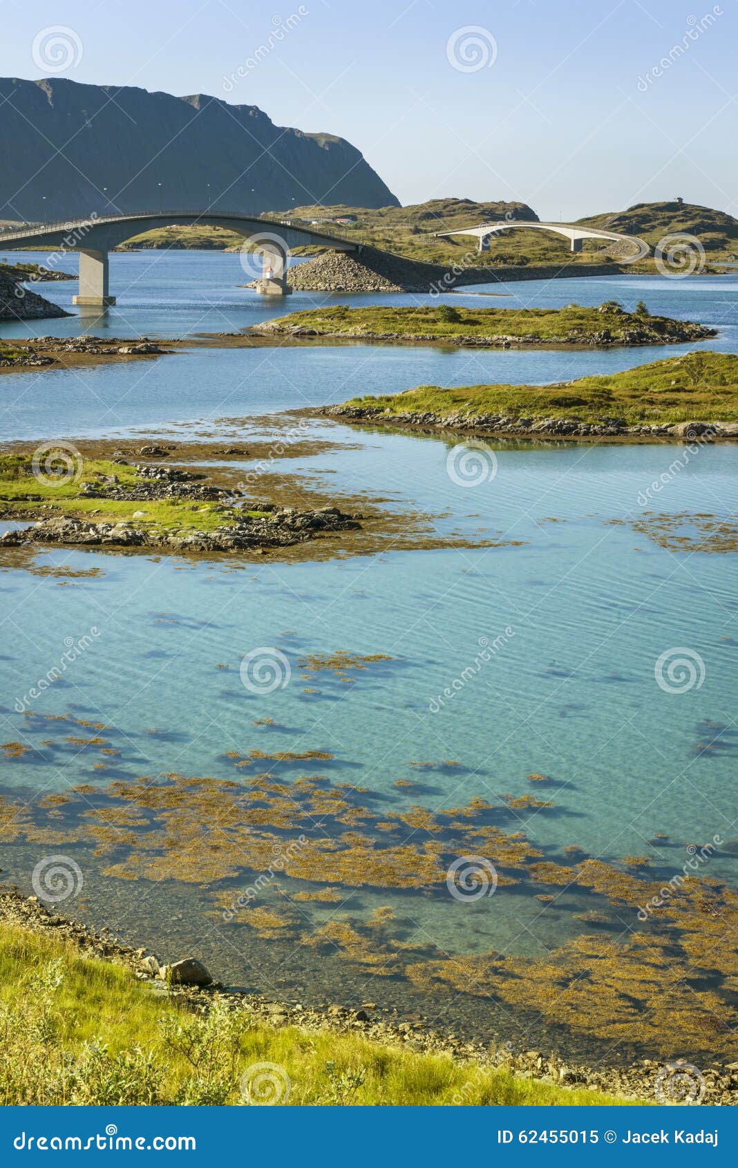 Broar i Lofoten öar, Norge fotografering för bildbyråer. Bild av ...