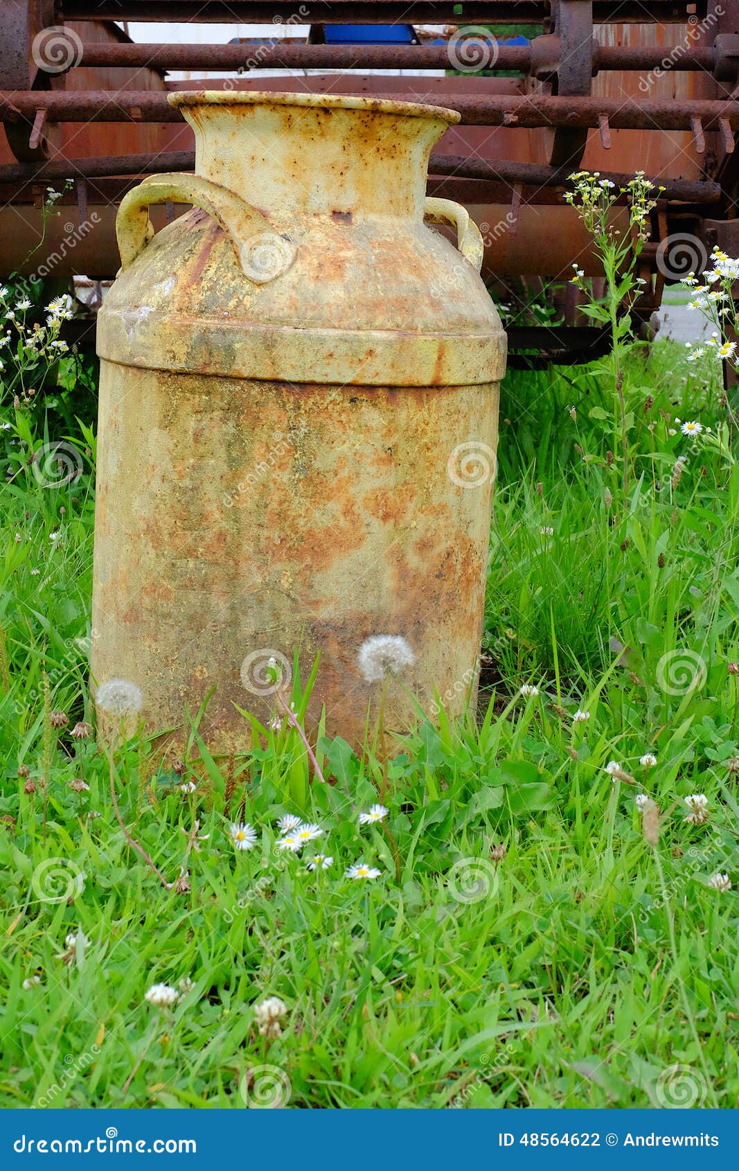 Brocca Di Latte D'annata Nel Campo Fotografia Stock - Immagine di ...