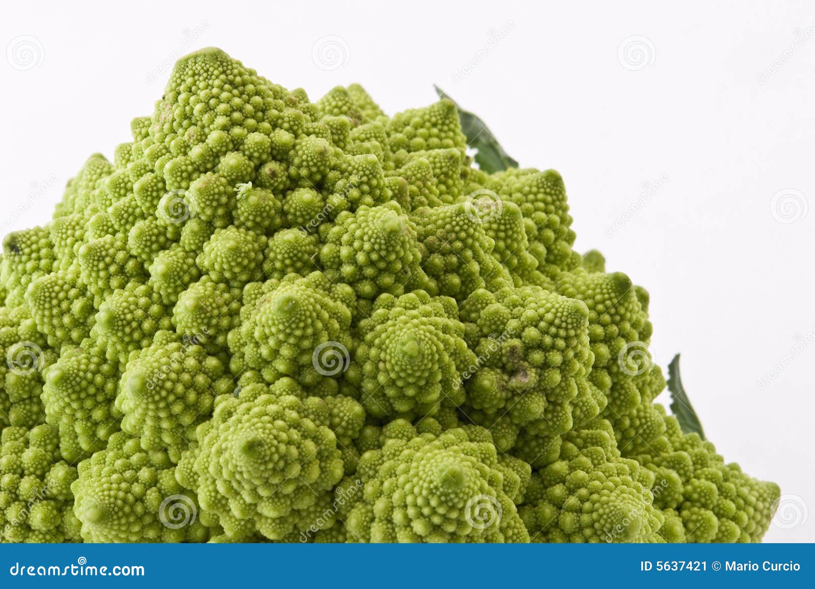 Broccoflower stock image. Image of vegetable, green, texture - 5637421
