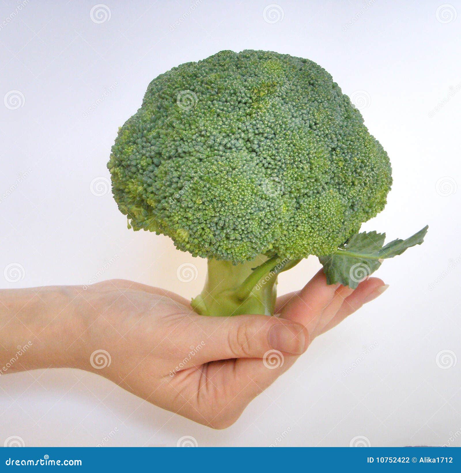 Broccoli. stock photo. Image of cuisine, leaf, healthy - 10752422