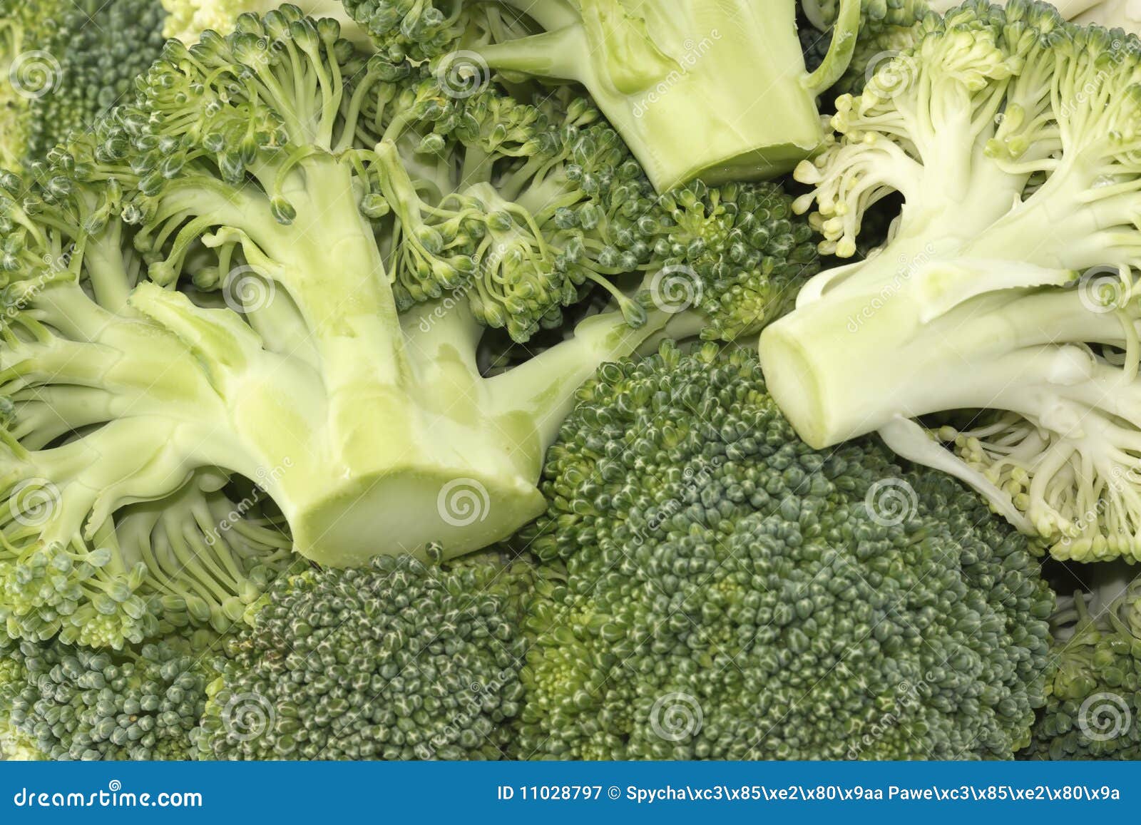 Broccoli stock image. Image of cooking, diet, healthy - 11028797