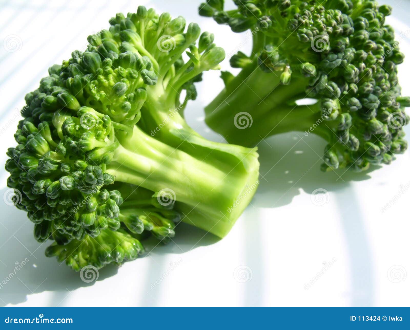 Broccoli stock photo. Image of food, diet, broccoli, vegetable - 113424