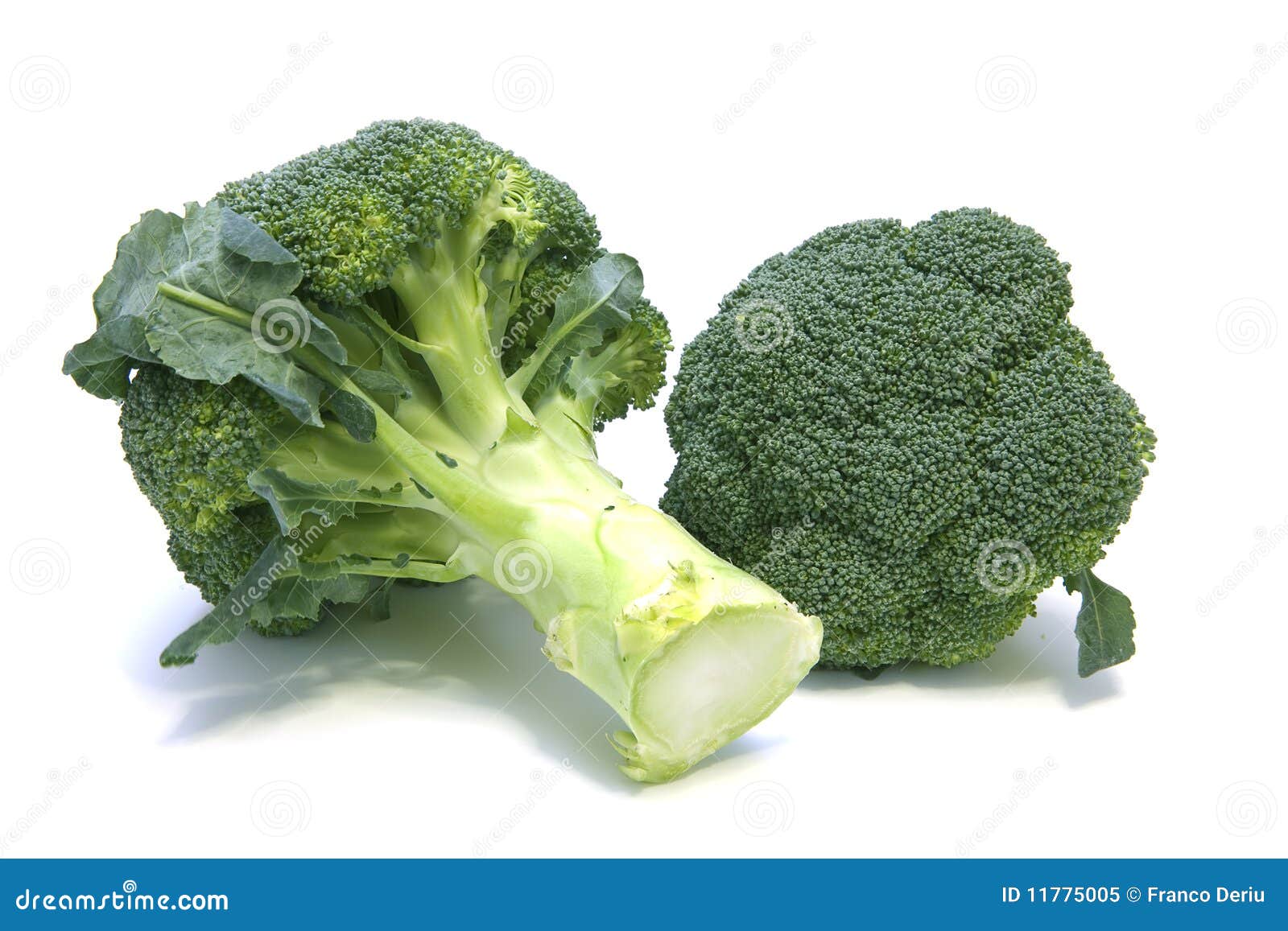 Broccoli stock image. Image of food, vegetable, freshness - 11775005