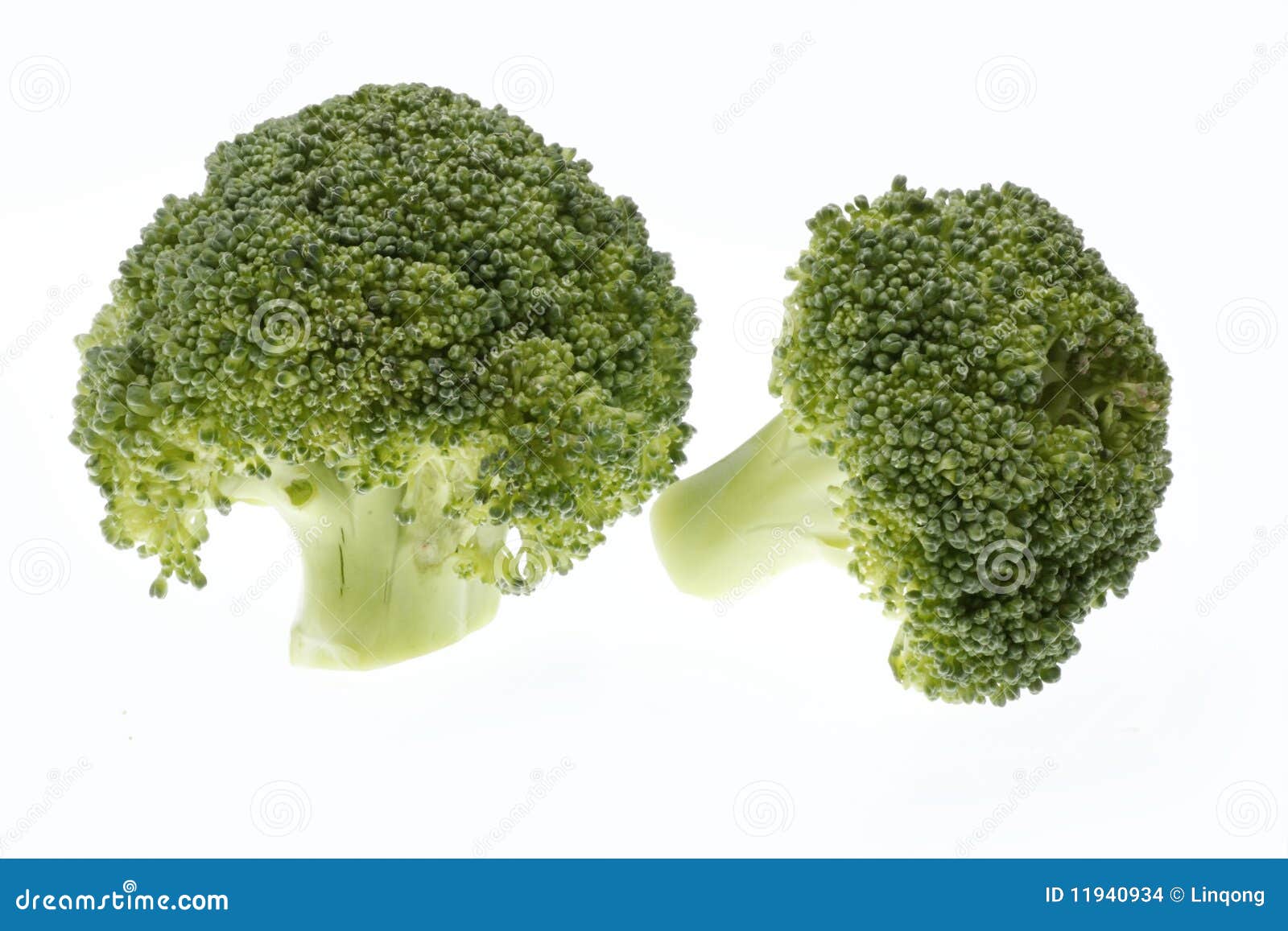 Broccoli stock photo. Image of isolated, fresh, culinary - 11940934