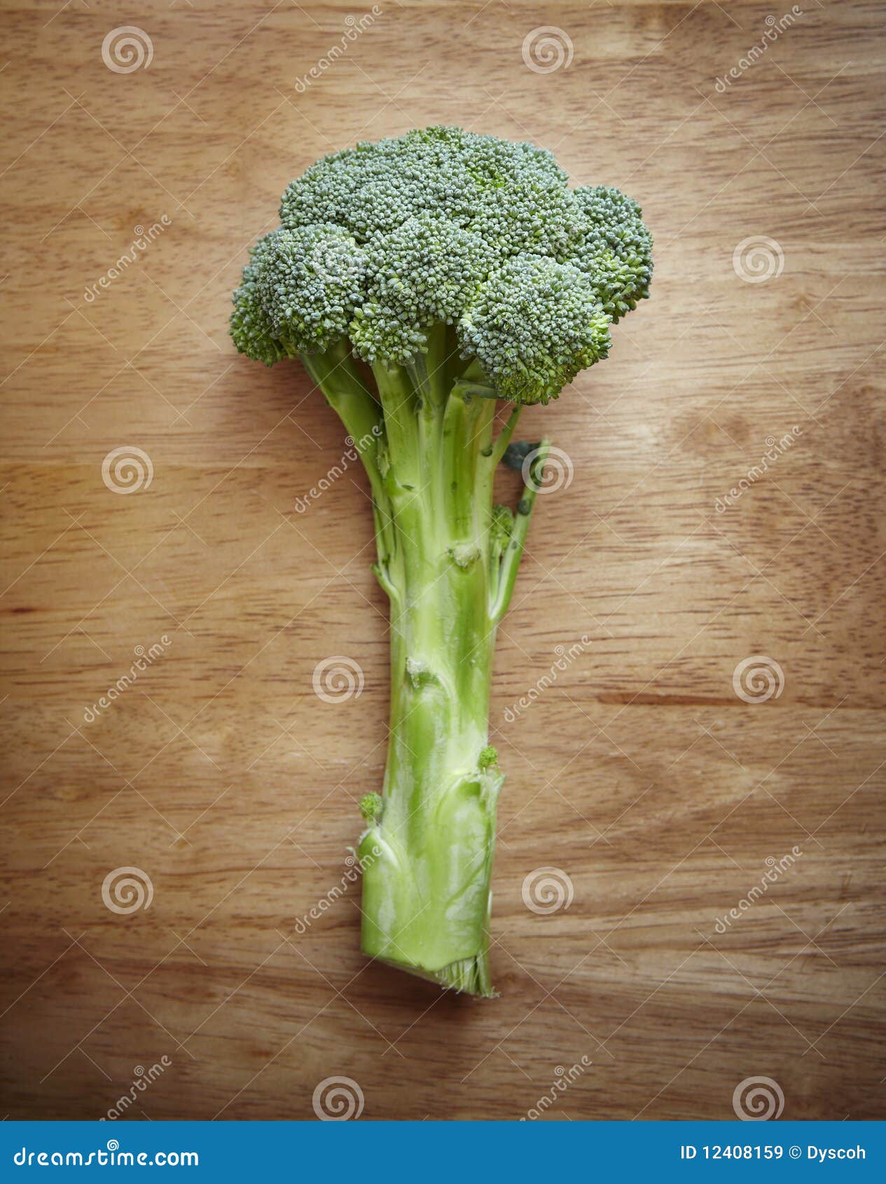 Broccoli stock image. Image of health, wood, tree, isolated - 12408159