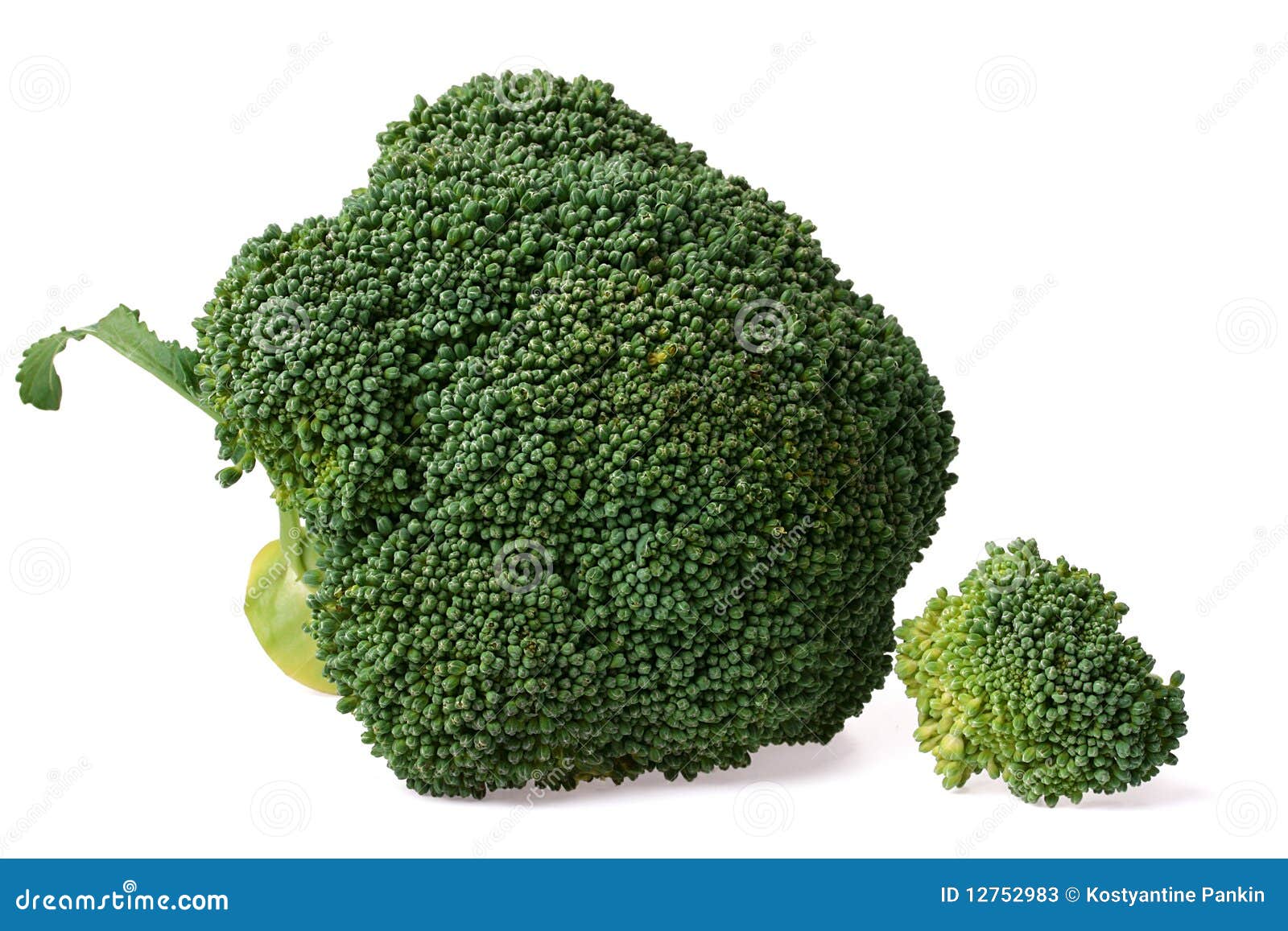 Broccoli stock image. Image of vegetable, bright, vegetarian - 12752983