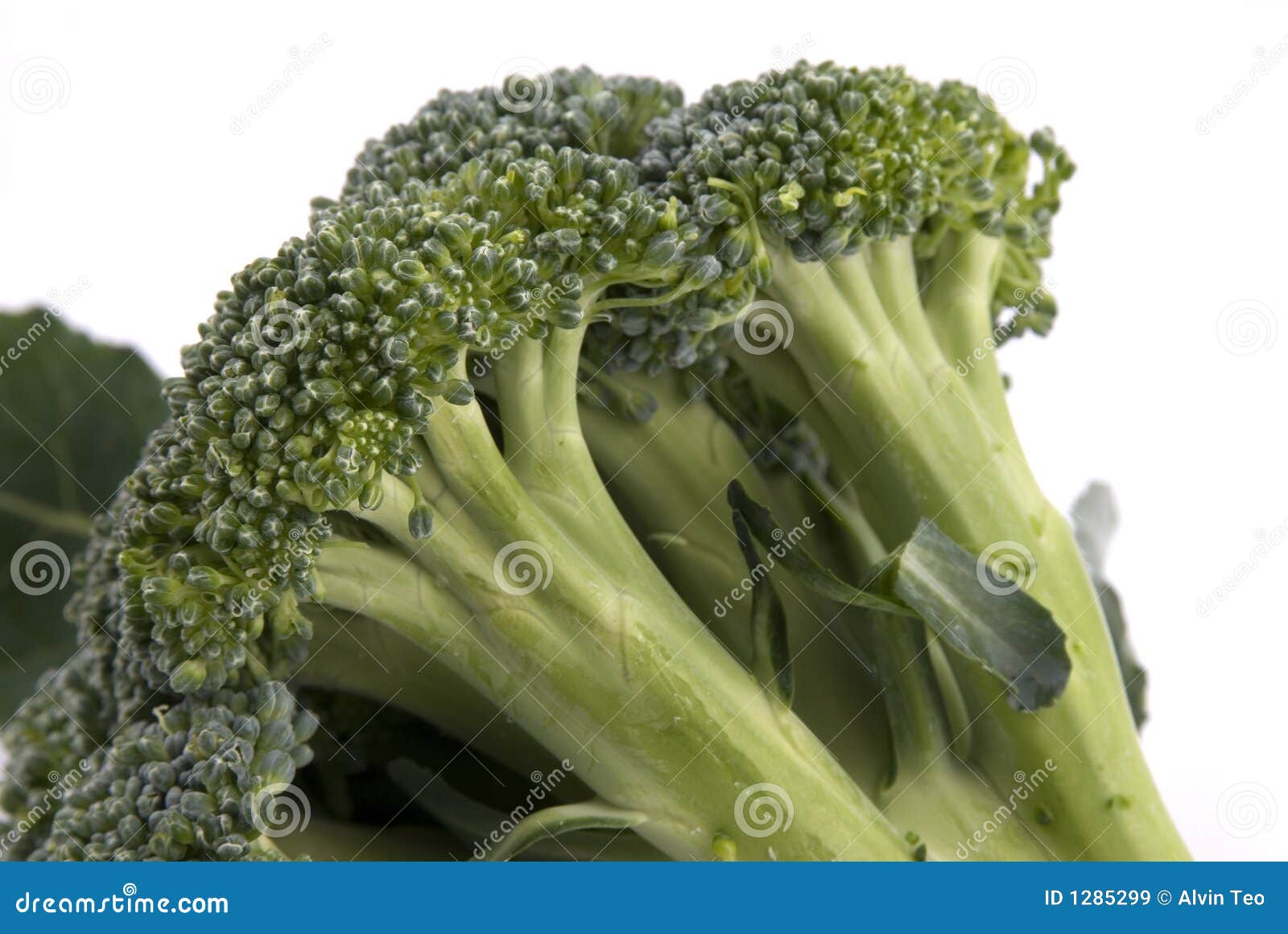 Broccoli stock image. Image of flower, food, entire, green - 1285299