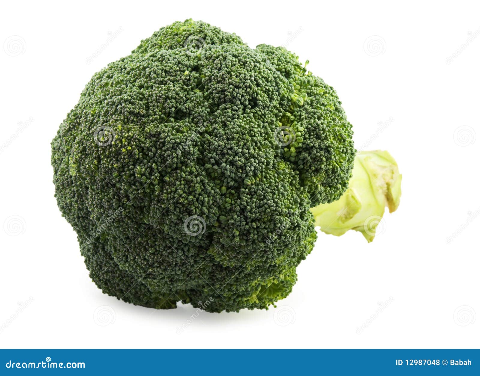 Broccoli stock photo. Image of brokoli, macro, full, background - 12987048