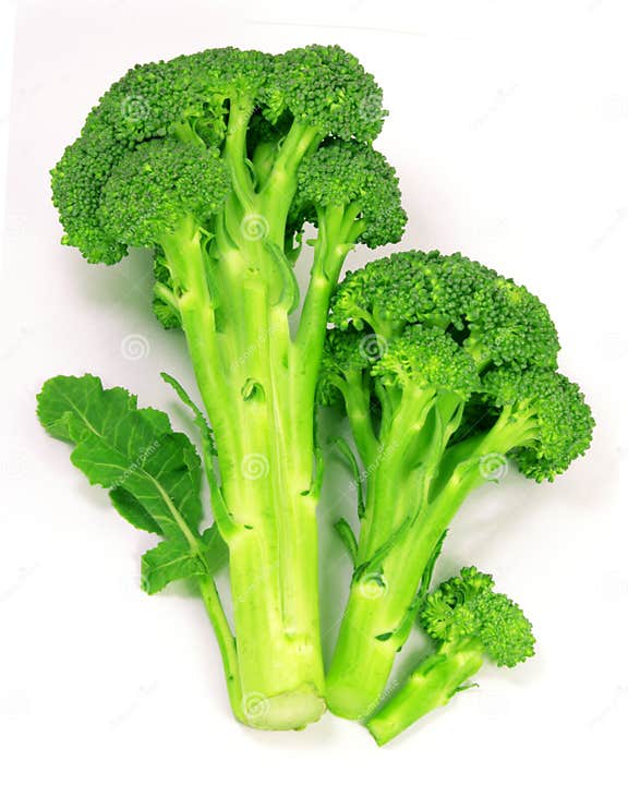 Broccoli stock image. Image of isolated, flower, crop - 13367313