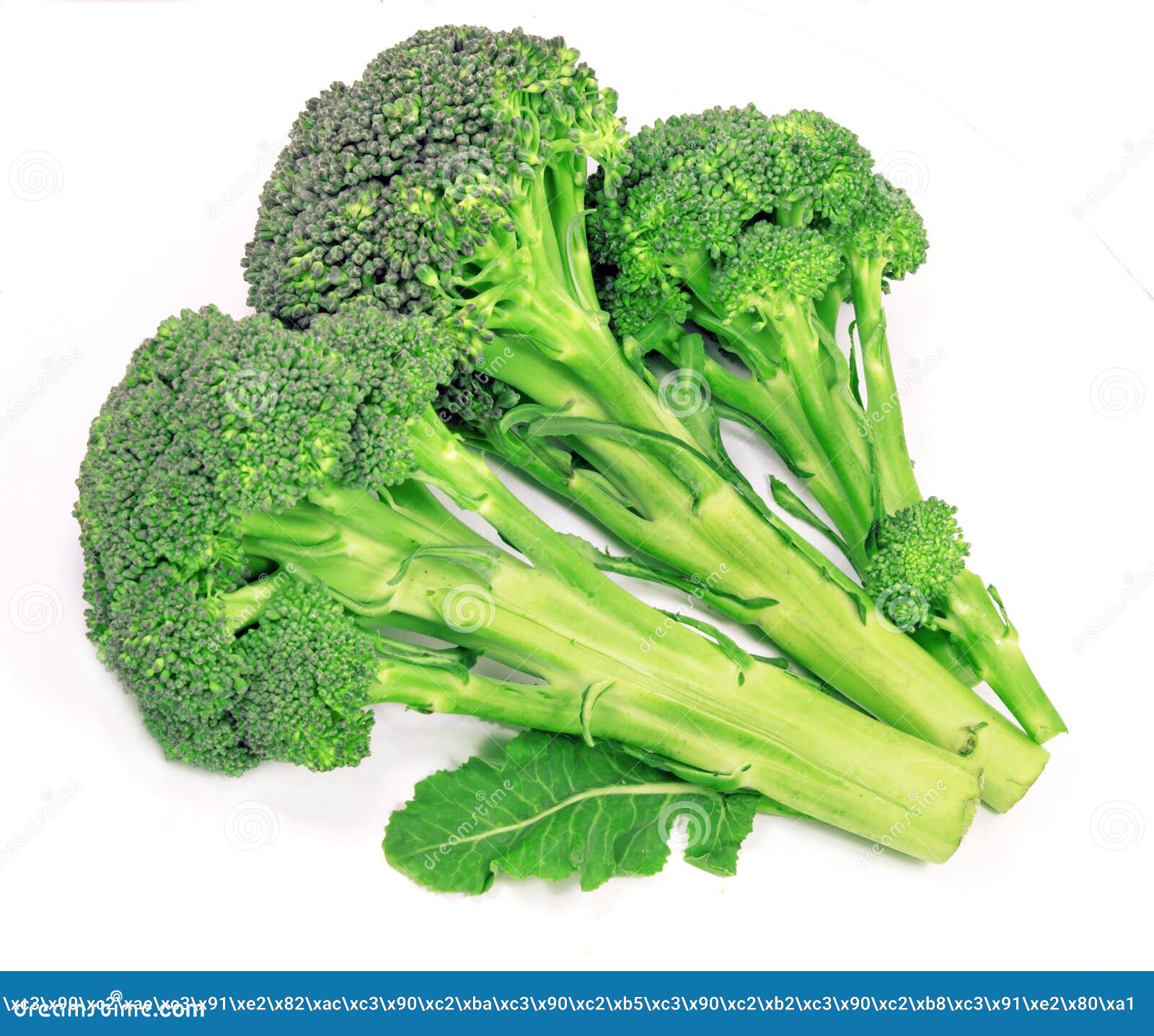 Broccoli stock image. Image of lifestyle, isolated, health - 13367329