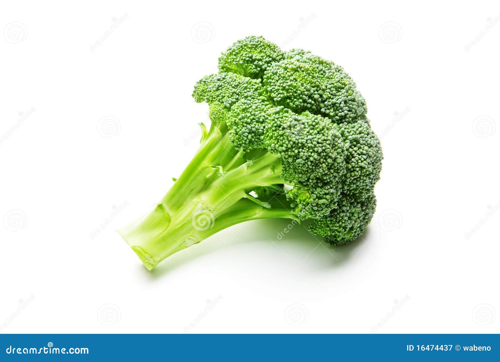 Broccoli stock image. Image of fresh, freshness, eating - 16474437
