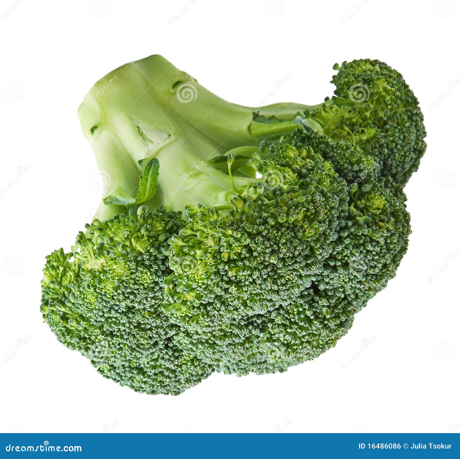 Broccoli stock photo. Image of ripe, vibrant, ingredient - 16486086