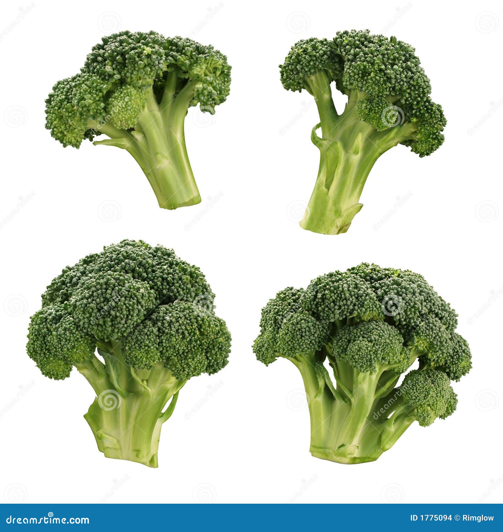 Broccoli stock photo. Image of stalk, healthy, organic - 1775094