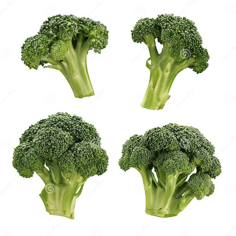 Broccoli stock photo. Image of stalk, healthy, organic - 1775094