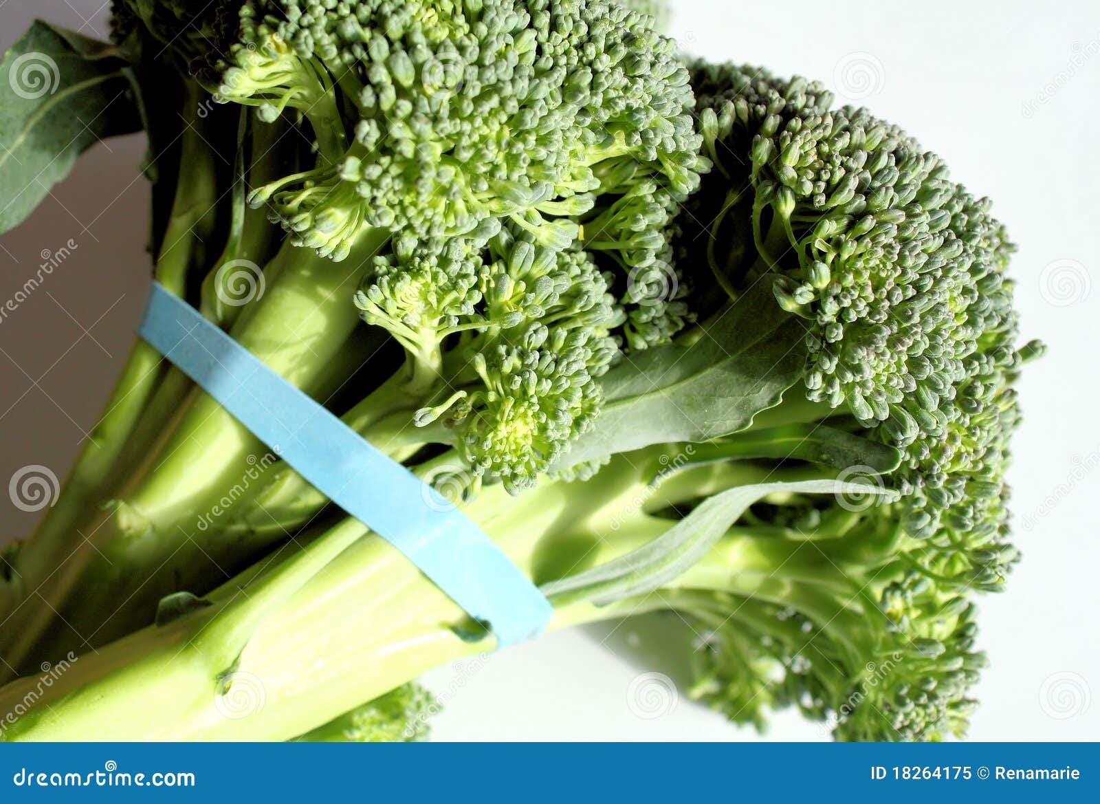 Broccoli stock image. Image of farm, vegetarian, cook - 18264175