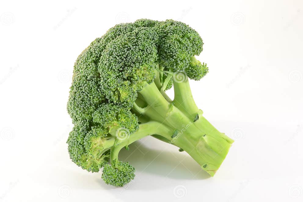 Broccoli stock photo. Image of fresh, white, horizontal - 18283300
