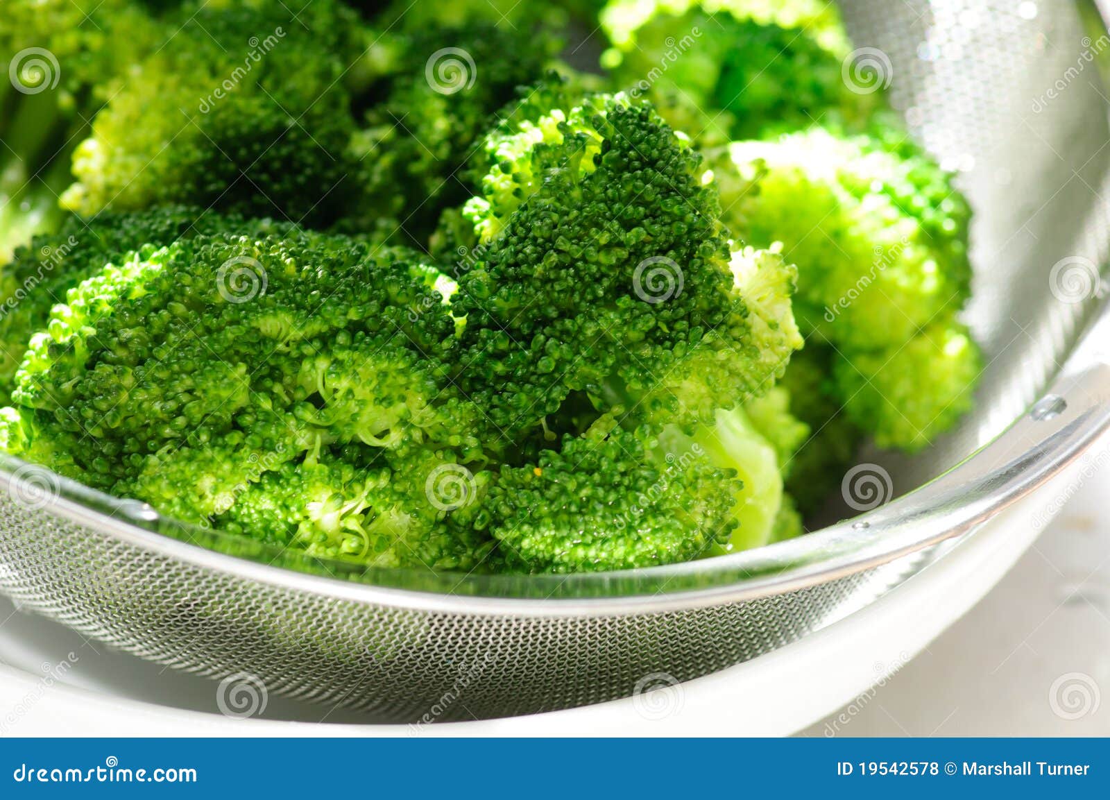 Broccoli stock photo. Image of vegetable, steam, vegan - 19542578