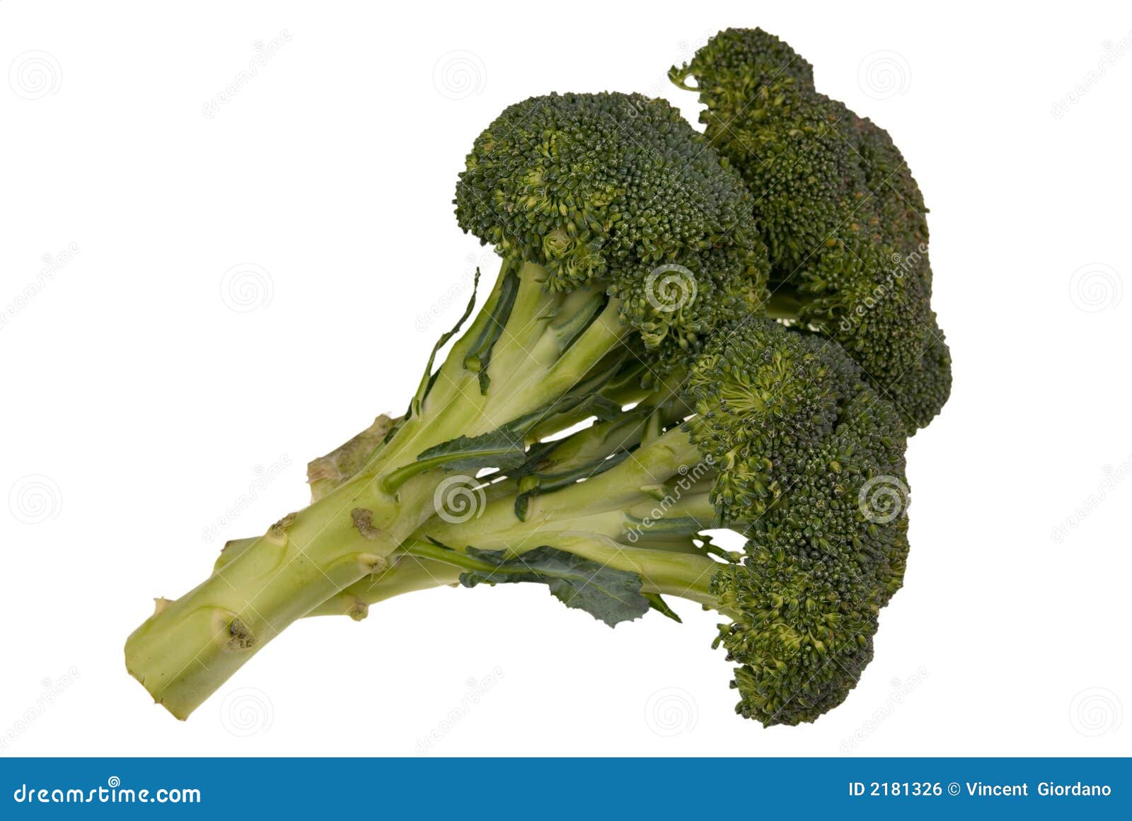 Broccoli stock photo. Image of stall, green, tree, cook - 2181326