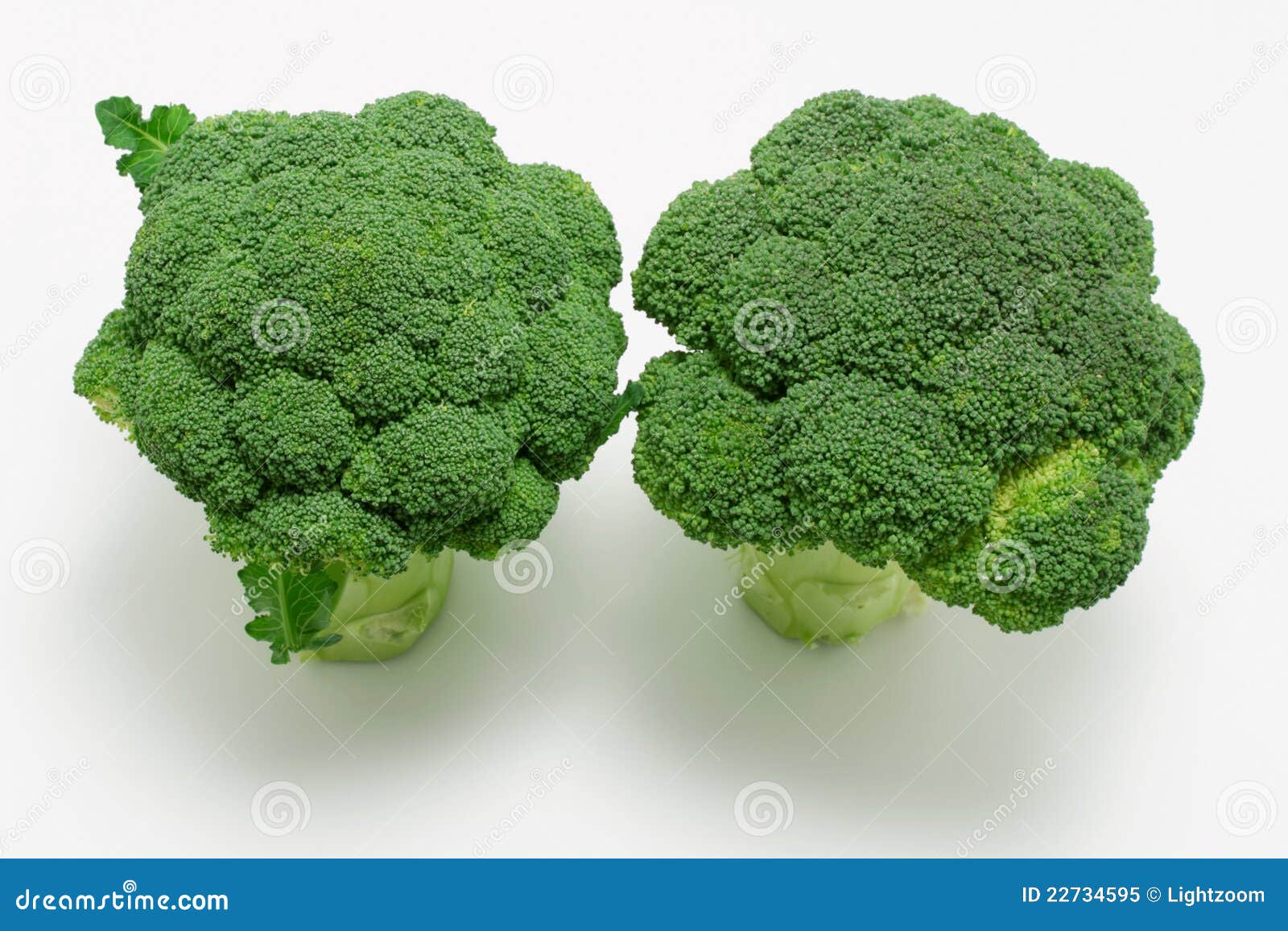 Broccoli stock image. Image of vegetable, organic, vitamin - 22734595
