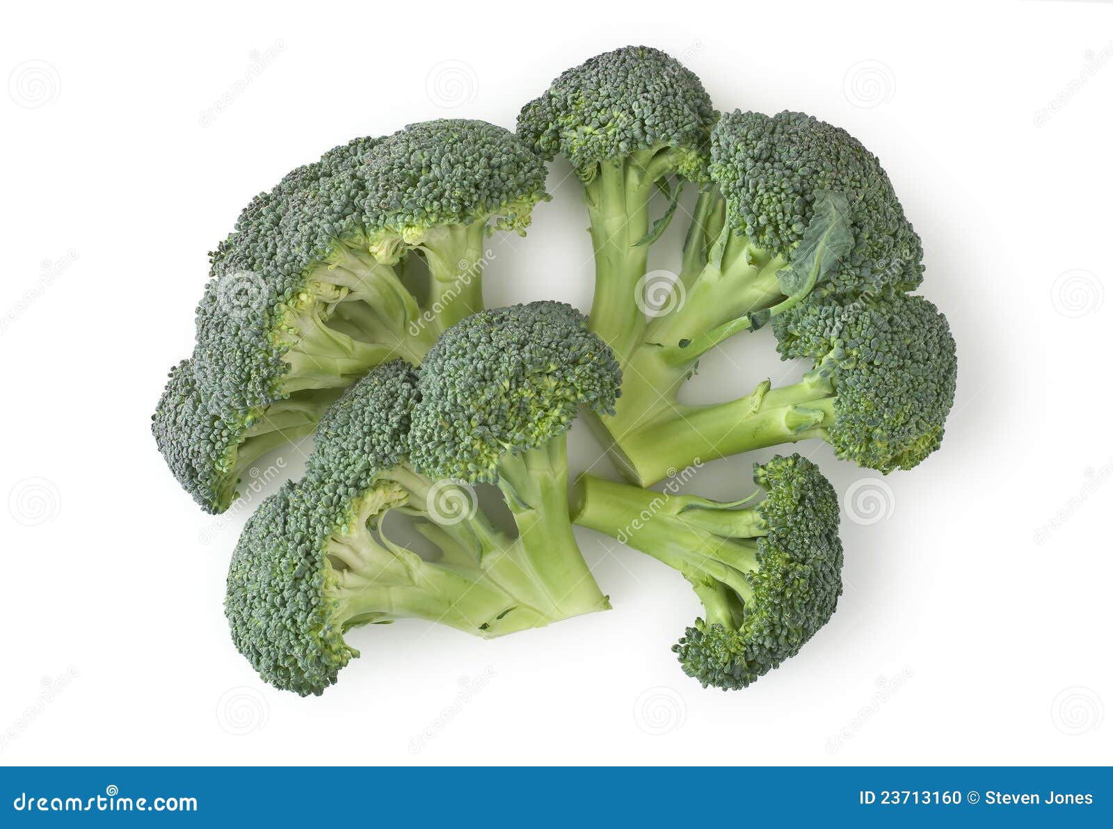 Broccoli stock photo. Image of fresh, cuisine, copy, dietary - 23713160