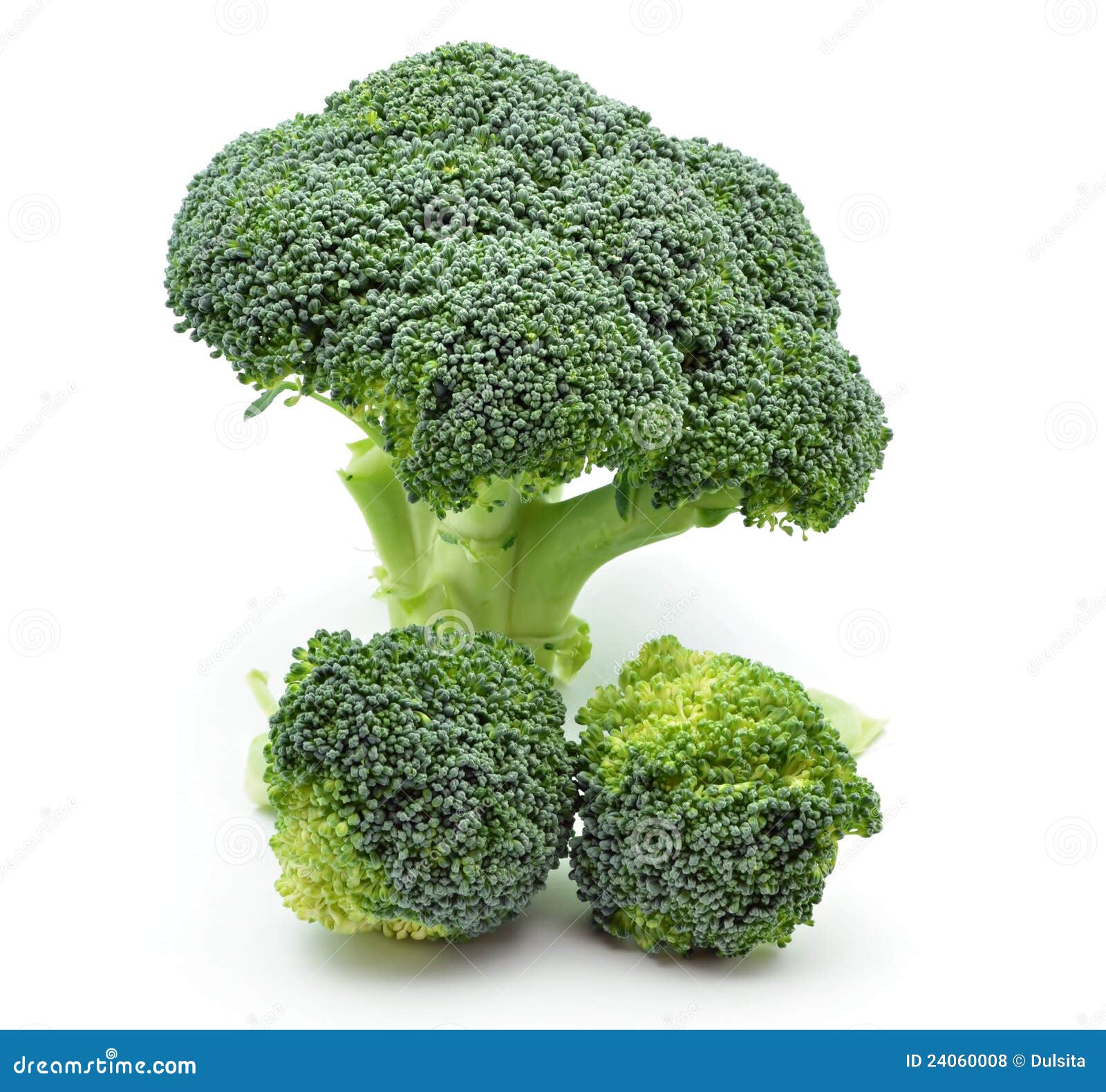 Broccoli stock photo. Image of tasty, health, vitamin - 24060008