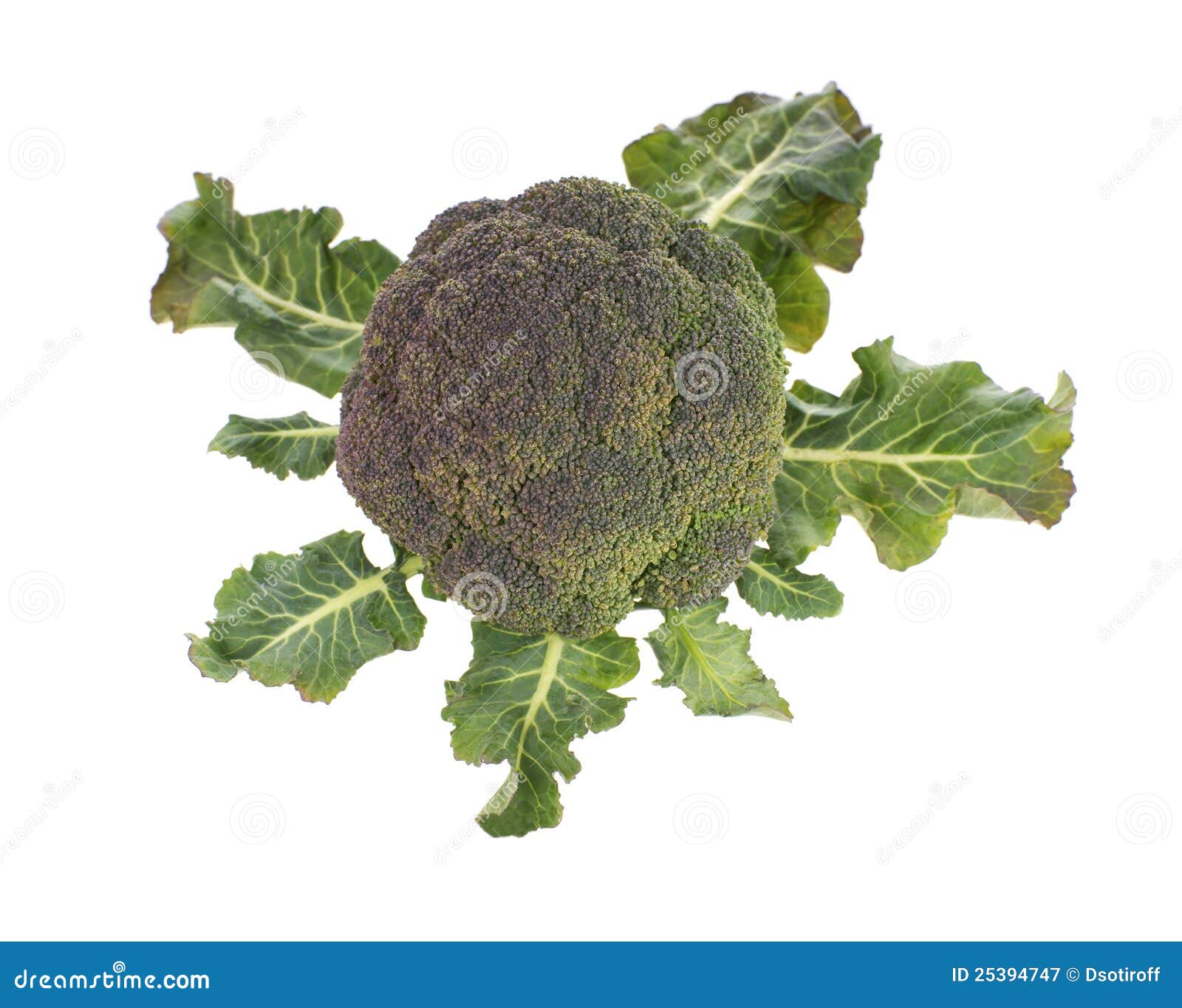 Broccoli stock image. Image of stem, vegetable, background - 25394747