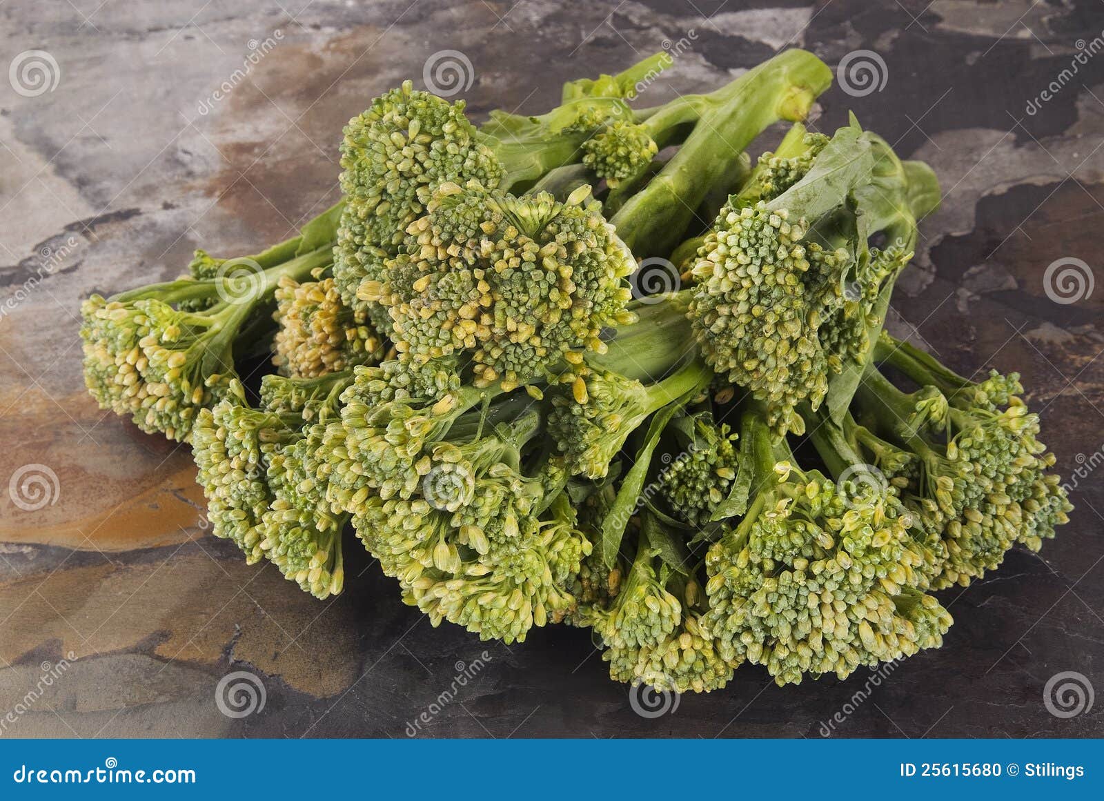 Broccoli stock photo. Image of healthy, produce, eating - 25615680