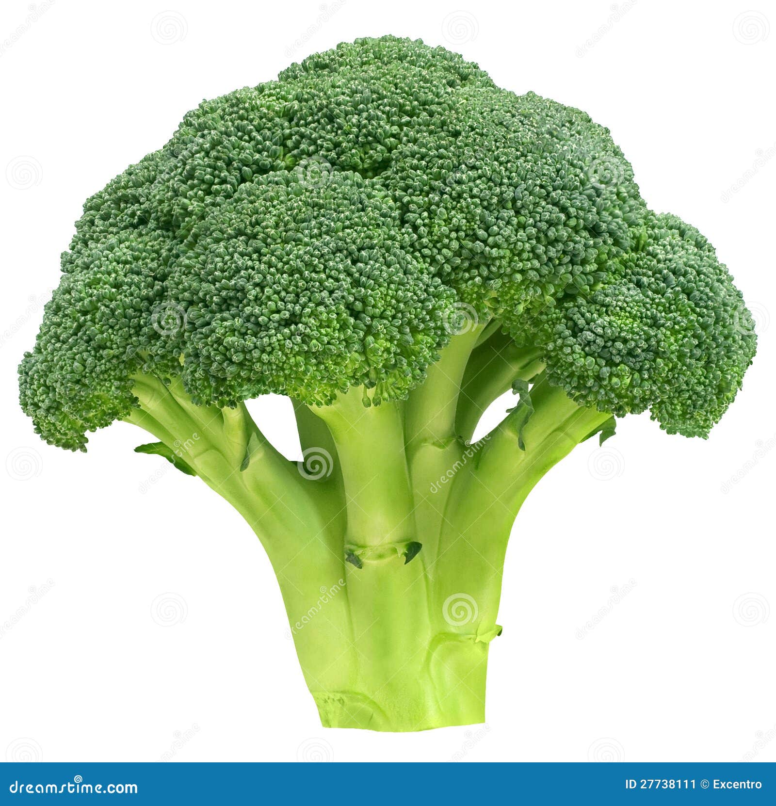 Broccoli stock image. Image of eating, ingredient, food - 27738111