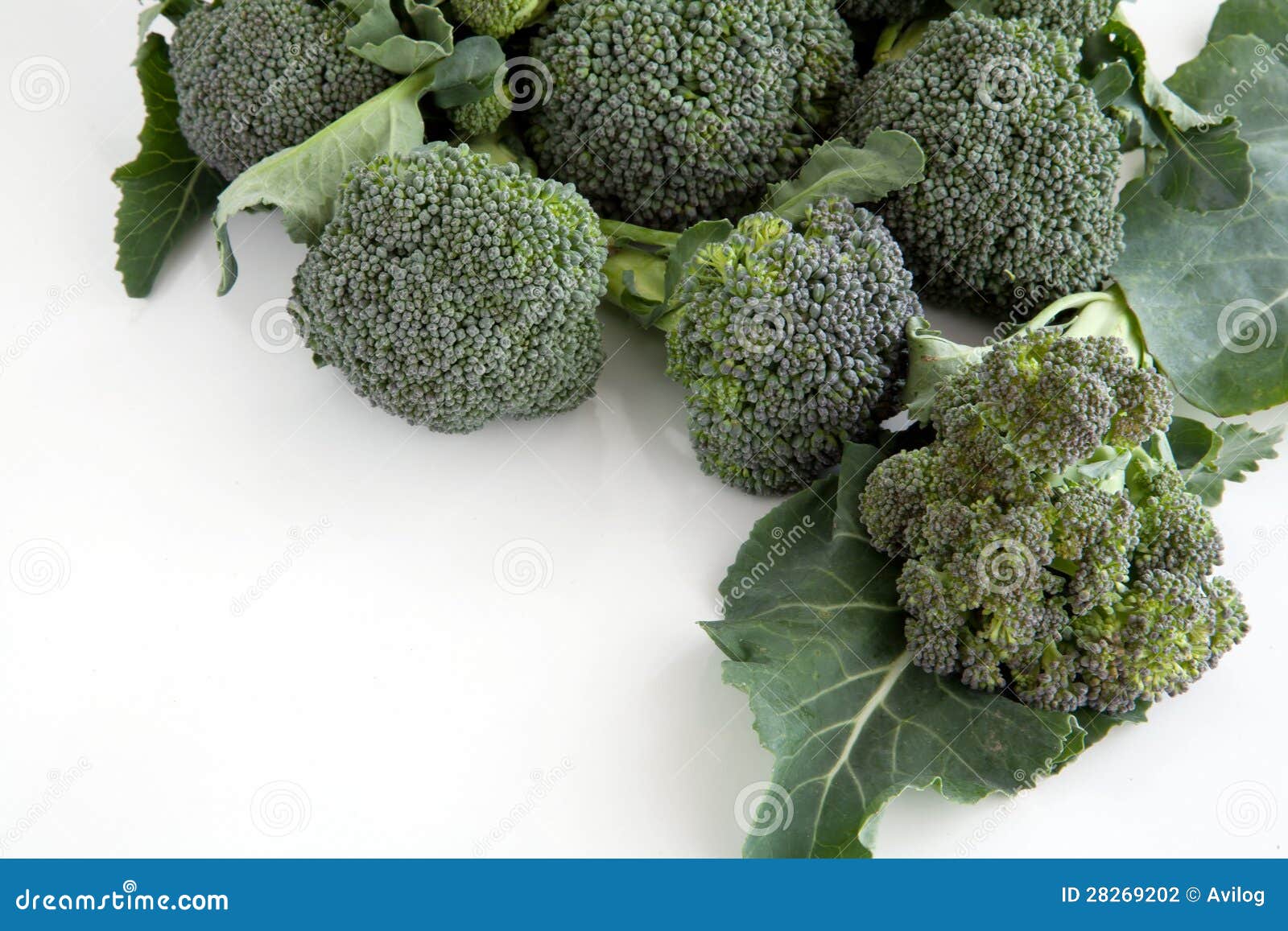 Broccoli stock photo. Image of nature, white, broccoli - 28269202
