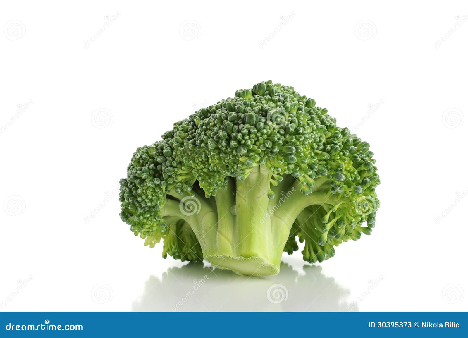 Broccoli stock afbeelding. Image of stam, organisch, diëet - 30395373