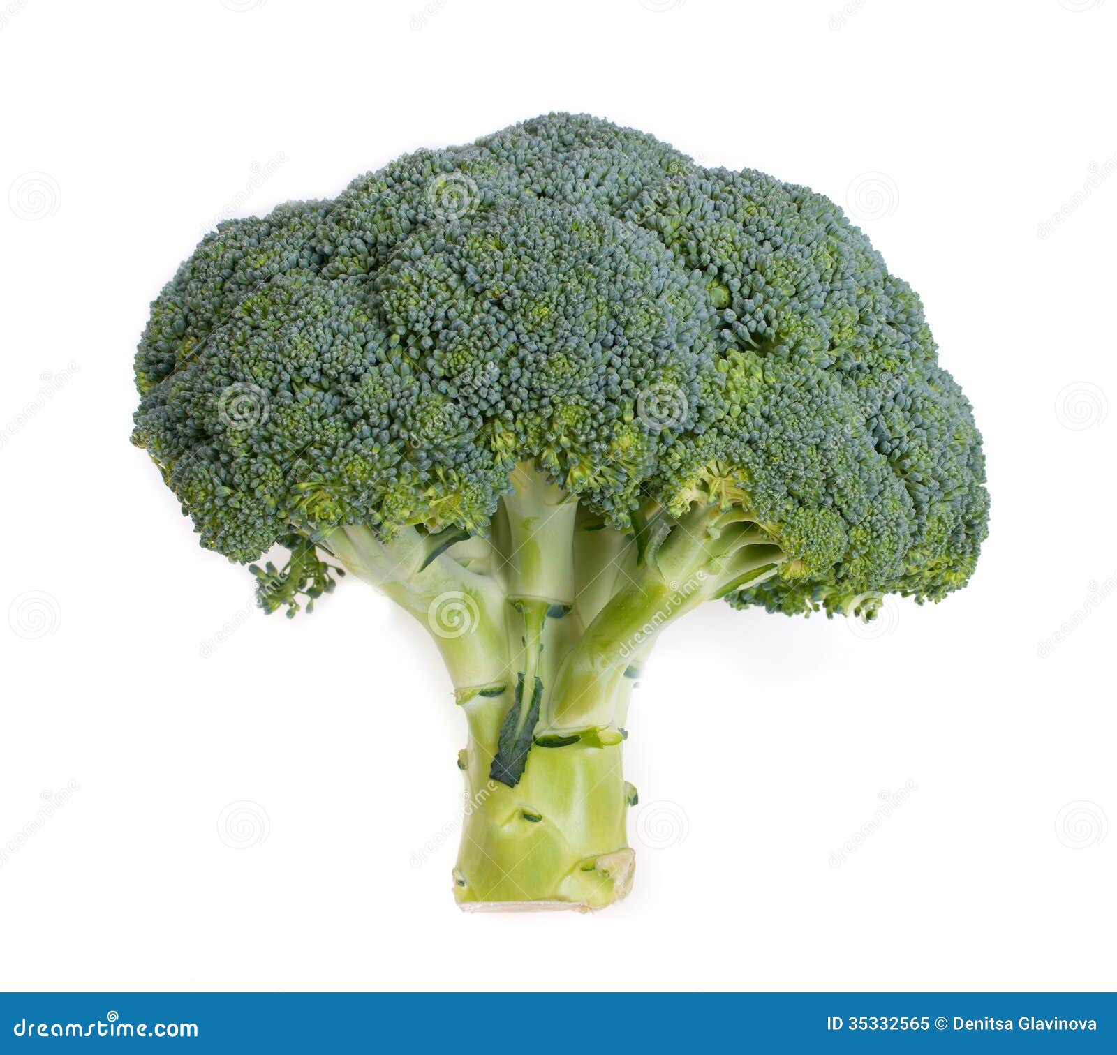 Broccoli stock afbeelding. Image of gezond, nave, landbouw - 35332565