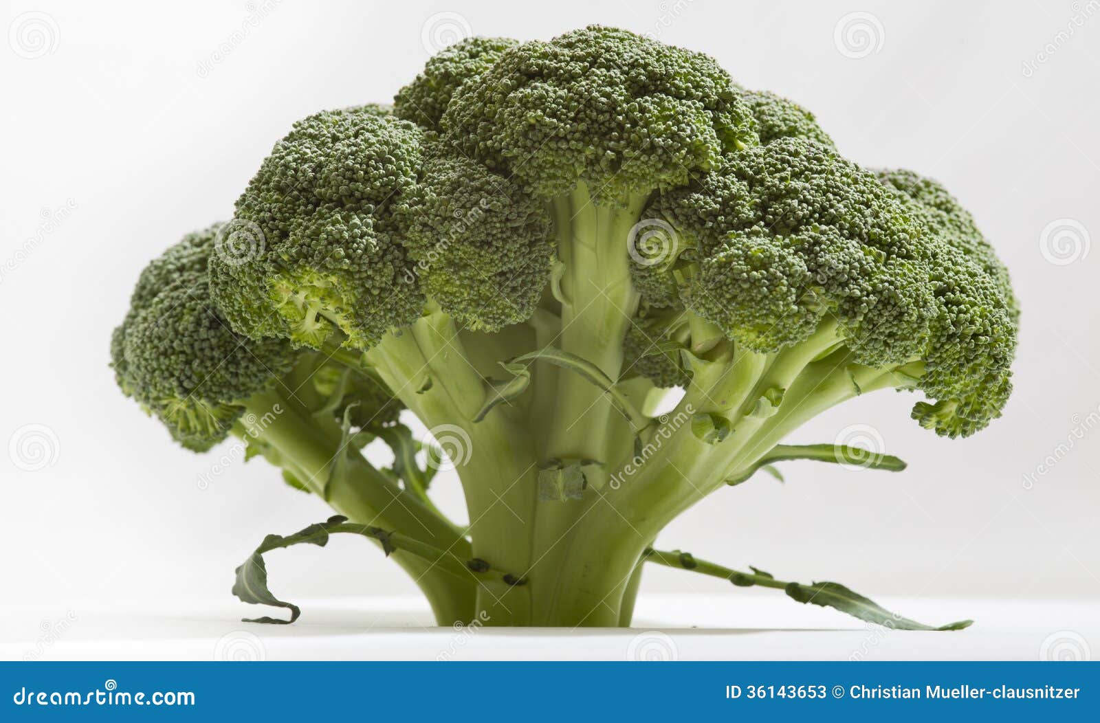 Broccoli stock afbeelding. Image of koken, plantaardig - 36143653