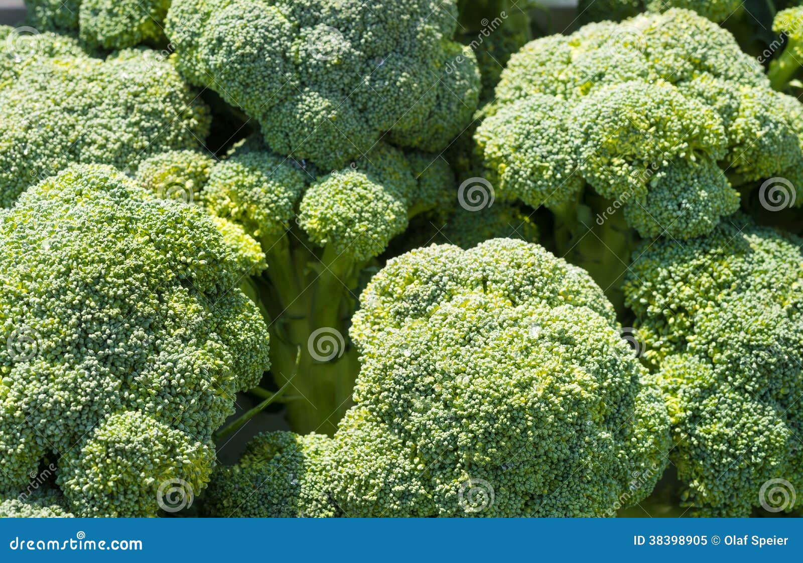 Broccoli stock afbeelding. Image of broccoli, groenten - 38398905
