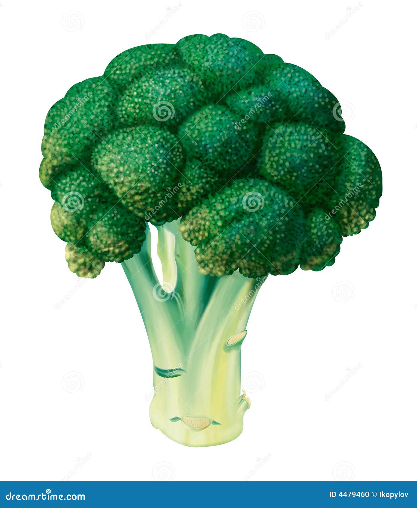 Broccoli Cartoons, Illustrations & Vector Stock Images - 87195 Pictures ...