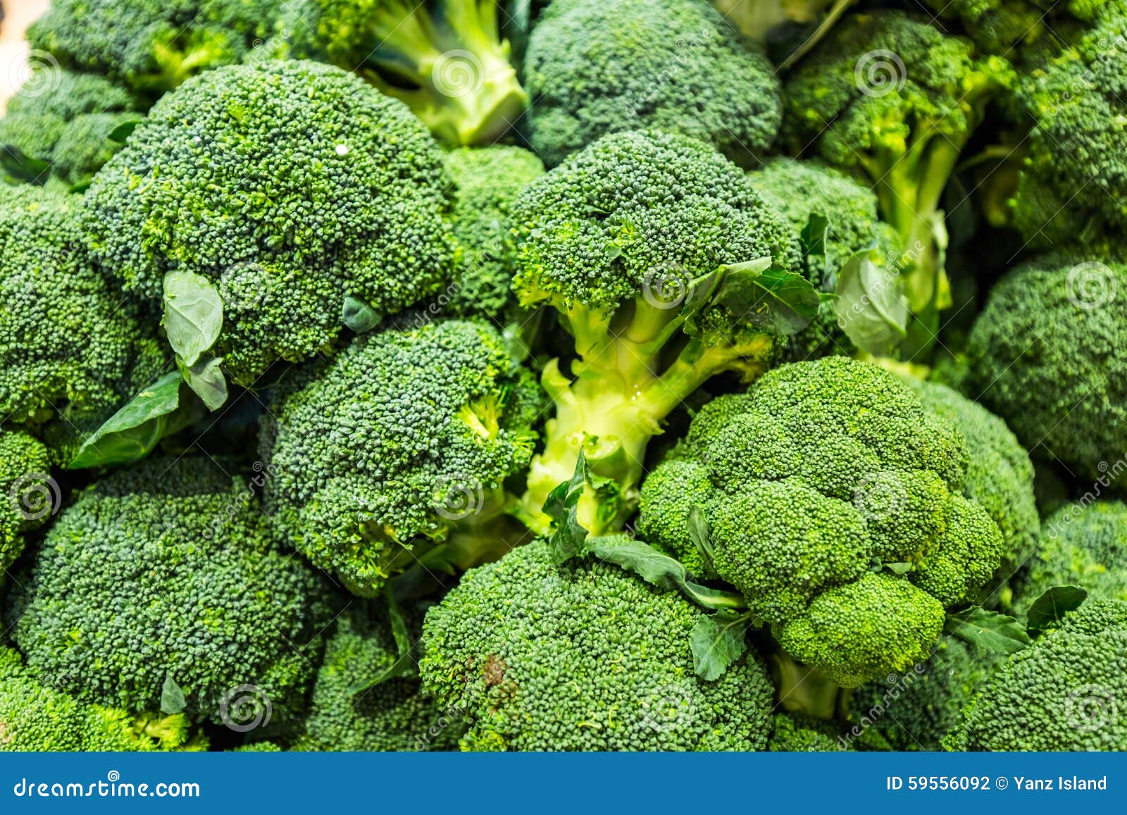 Broccoli stock foto. Image of landbouw, opbrengst, voedsel - 59556092