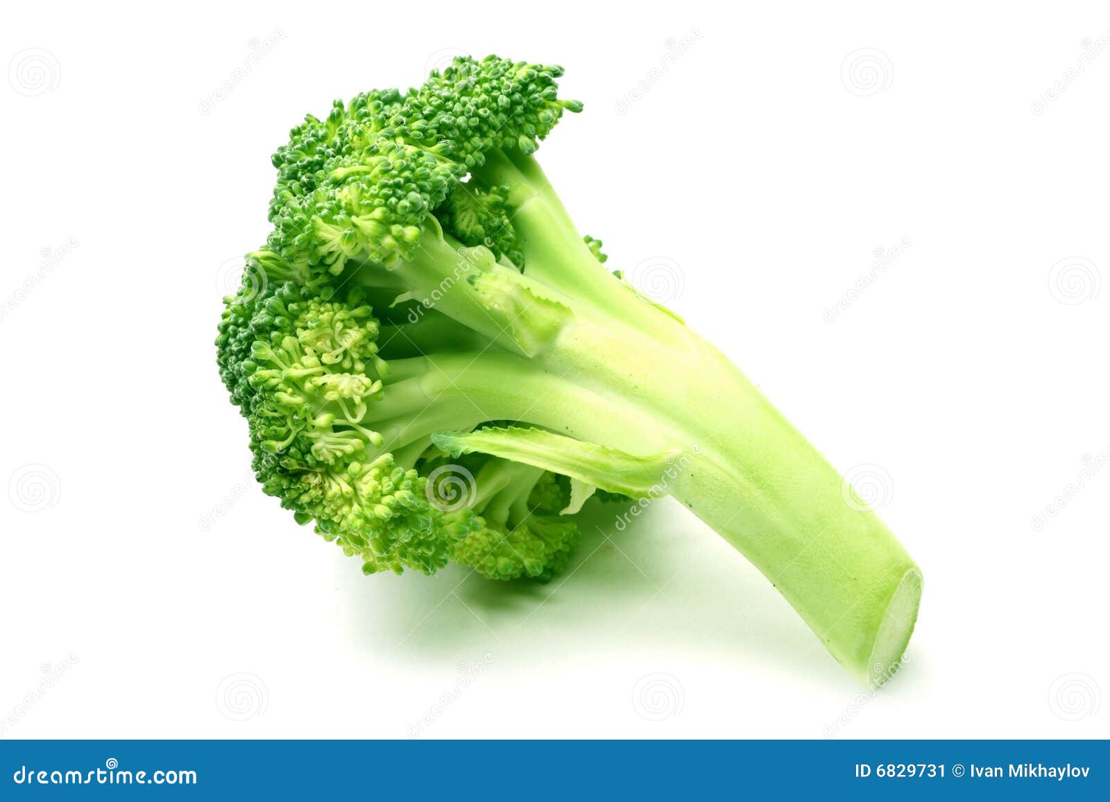 Broccoli stock image. Image of catering, loss, groceries - 6829731