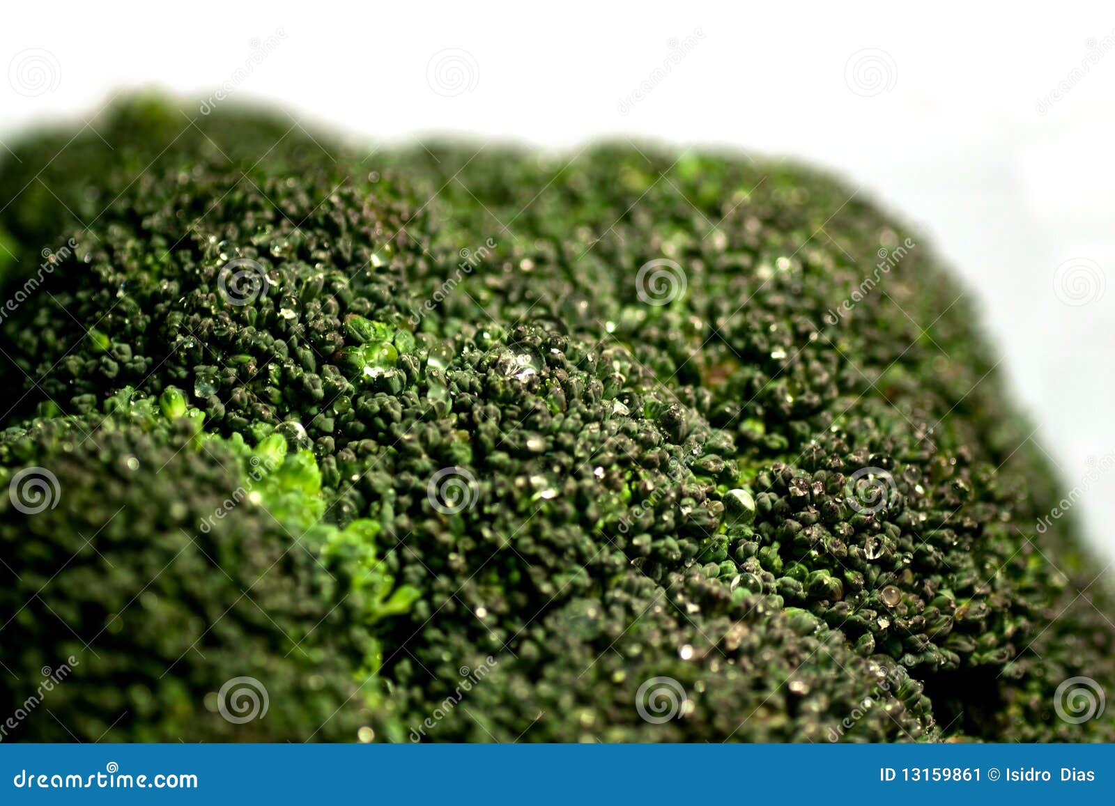 Broccoli 7 stock image. Image of colors, macro, fresh - 13159861