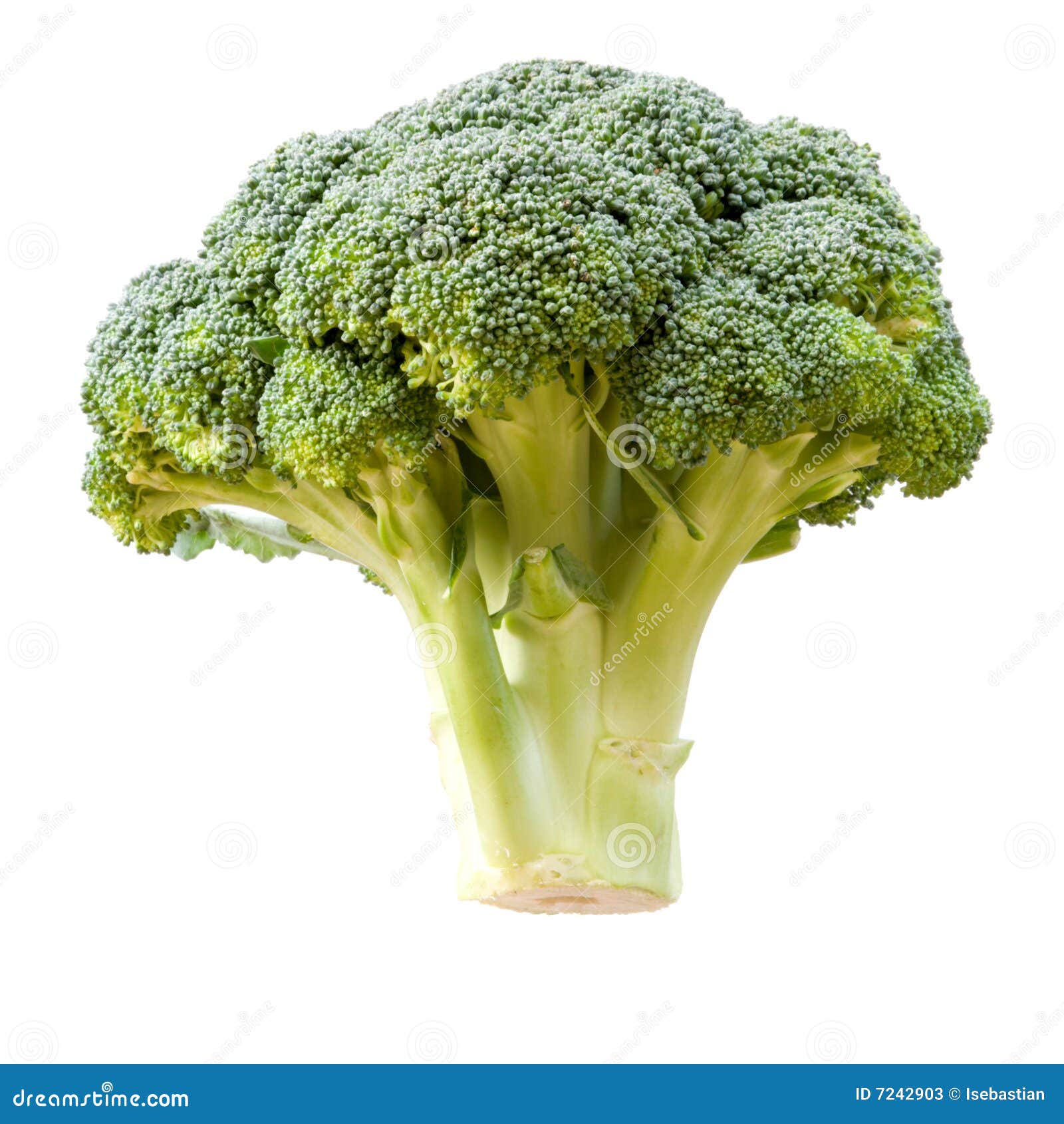Broccoli stock afbeelding. Image of achtergrond, ingrediënt - 7242903