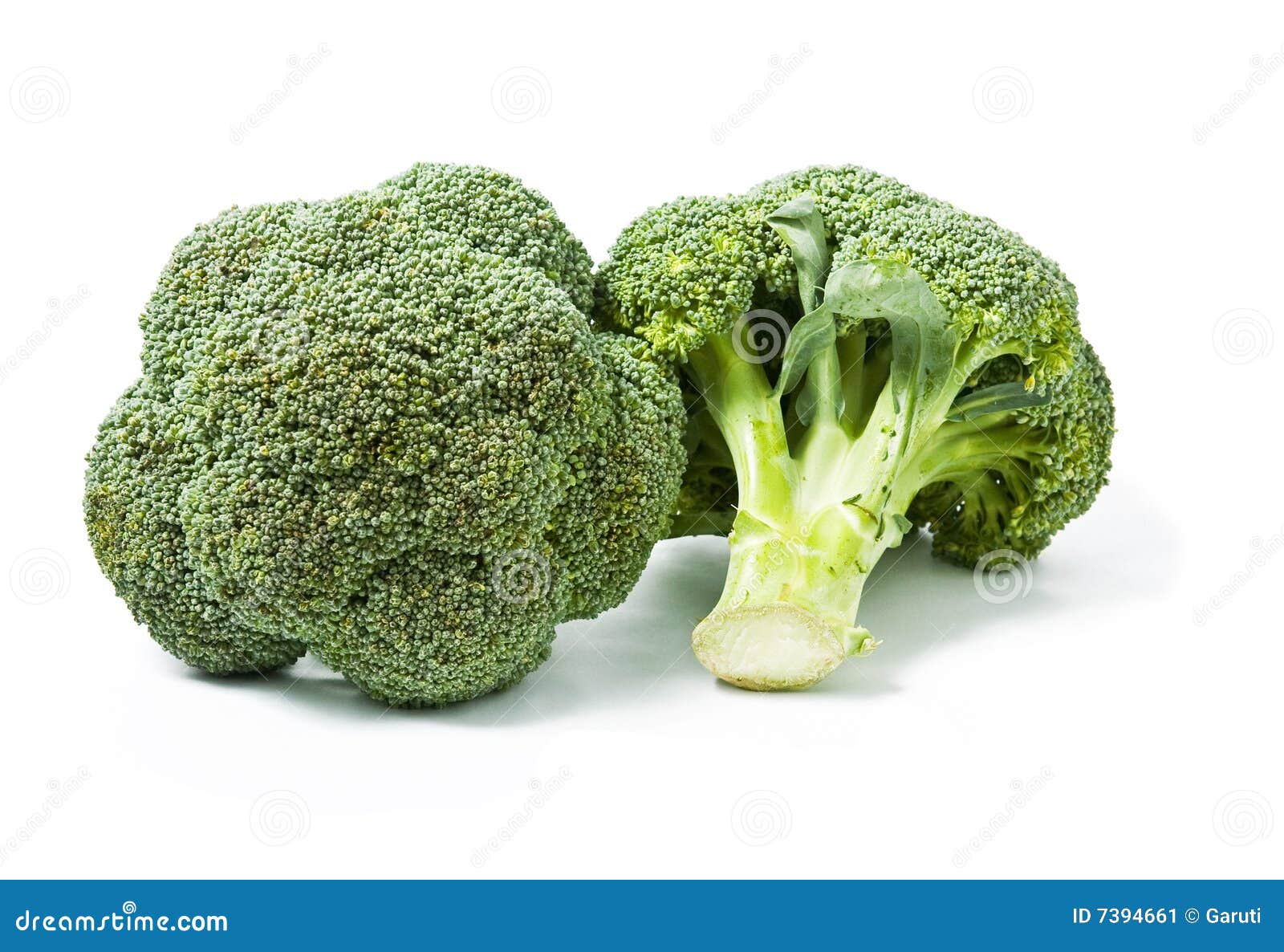Broccoli stock afbeelding. Image of ongekookt, bloem, vers - 7394661