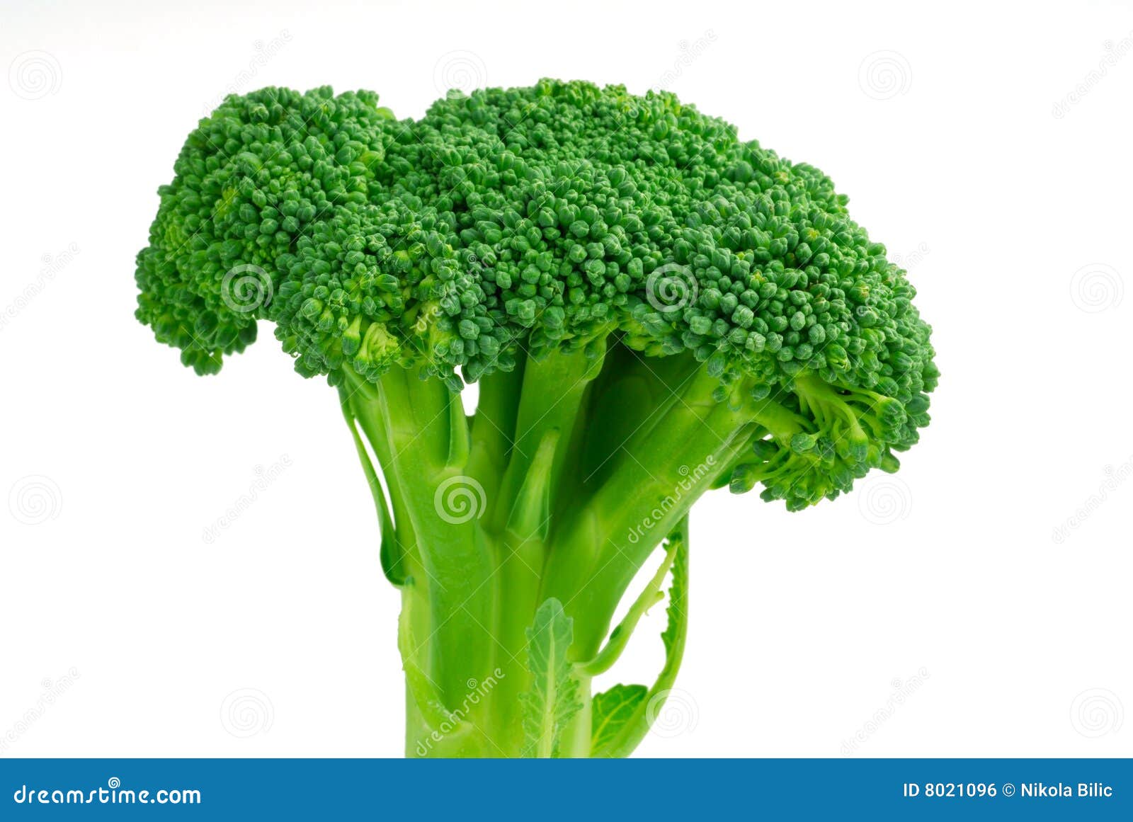 Broccoli stock photo. Image of vertical, broccoli, food - 8021096