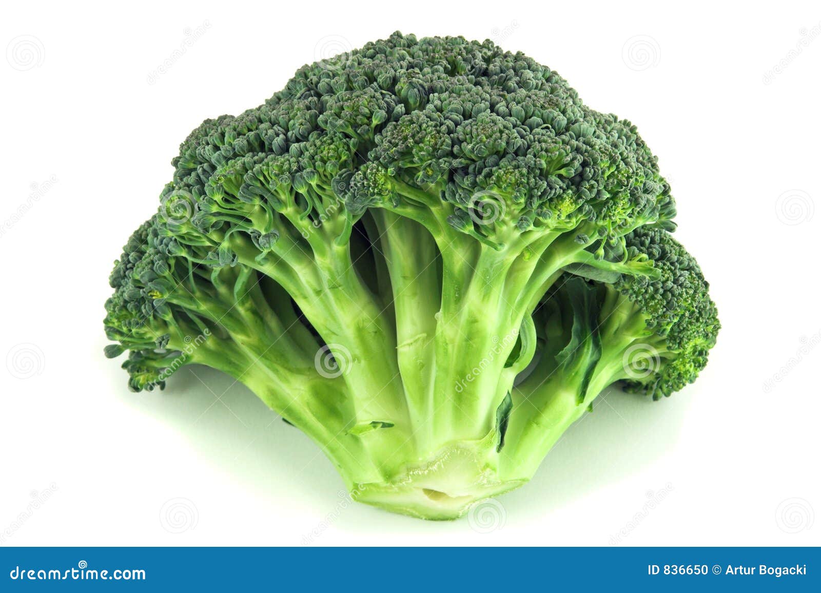 Broccoli stock photo. Image of broccoli, sprout, healthy - 836650