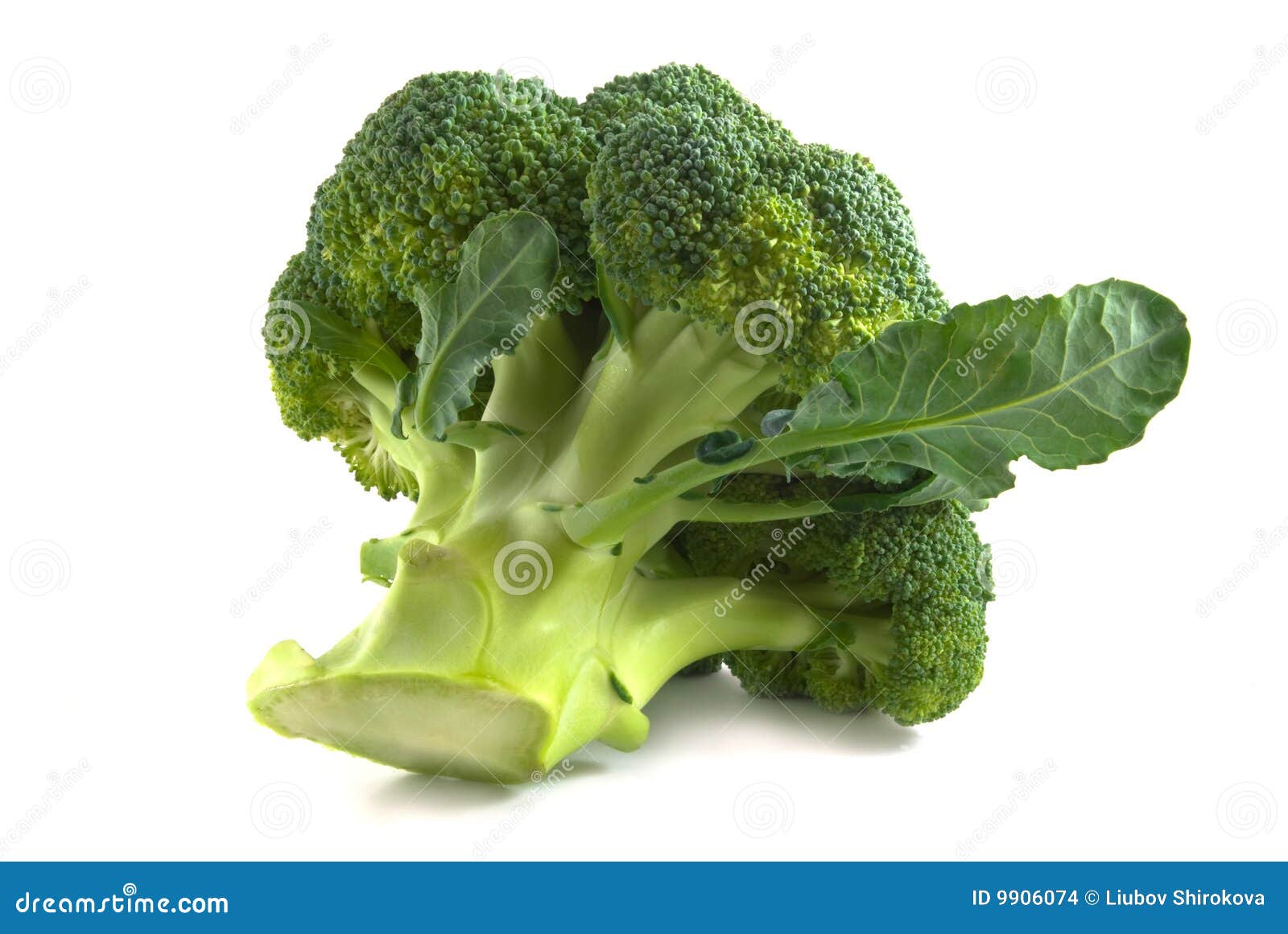 Broccoli stock photo. Image of broccoli, healthy, close - 9906074