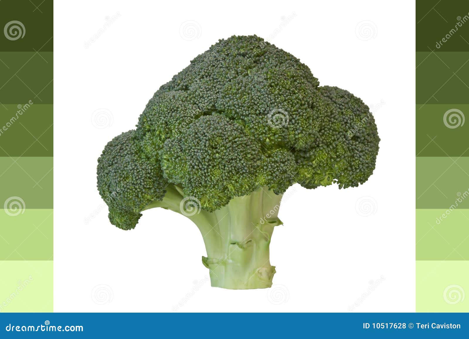 Broccoli Add stock photo. Image of salad, green, healthy - 10517628