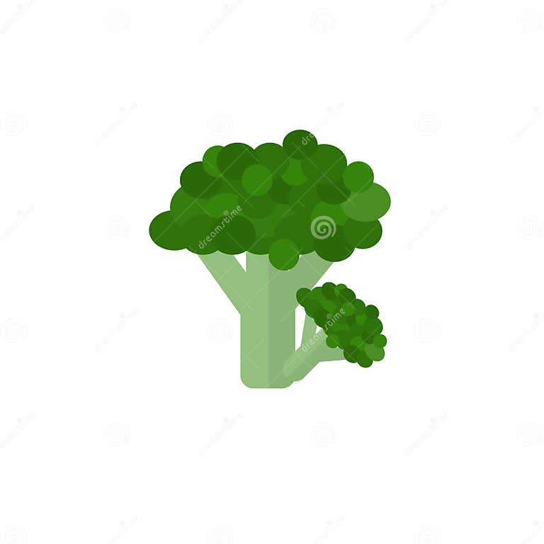 Broccoli, Animated Vector Illustration Stock Vector - Illustration of ...