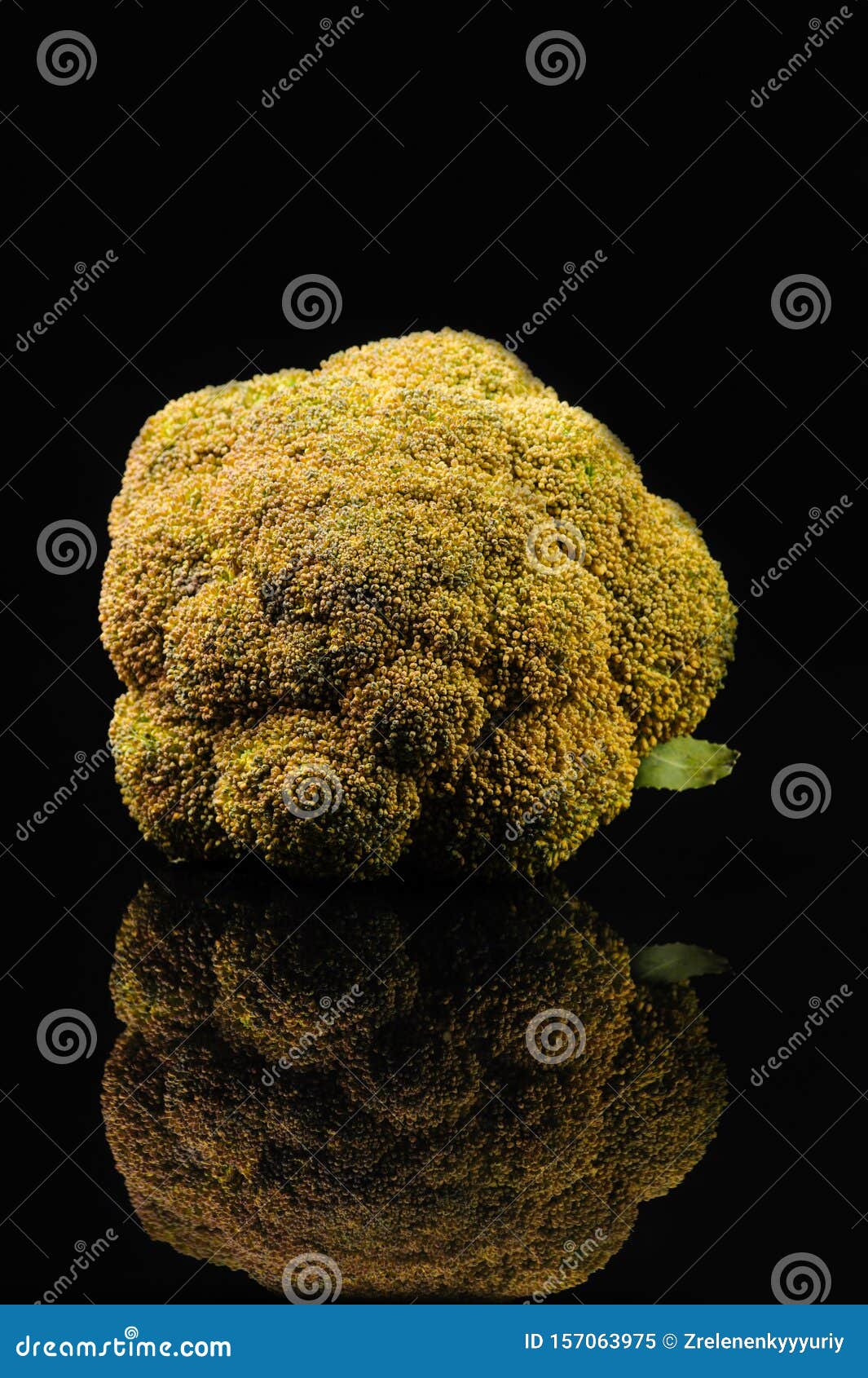 Broccoli on black stock image. Image of agriculture - 157063975