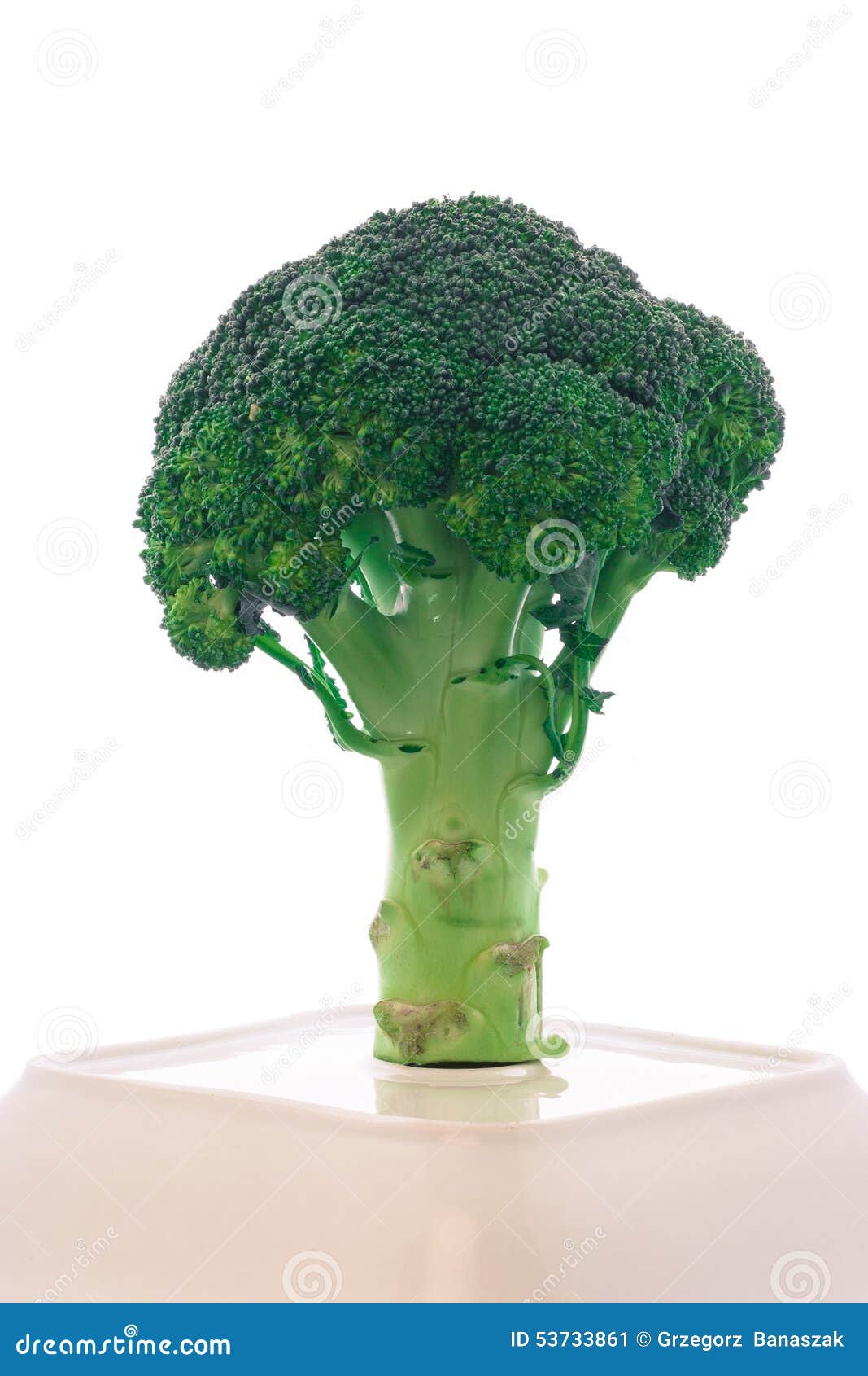 Broccoli branch stock image. Image of branch, nature - 53733861